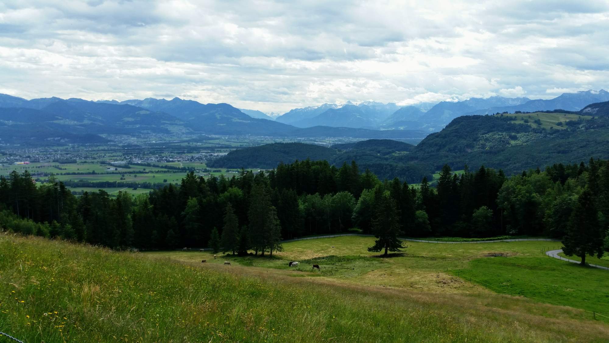 Jigsaw Puzzle | 405 pieces | Aussicht-4a | Jigidi