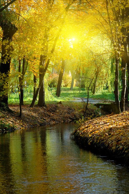 Solve Beautiful Scenery jigsaw puzzle online with 54 pieces