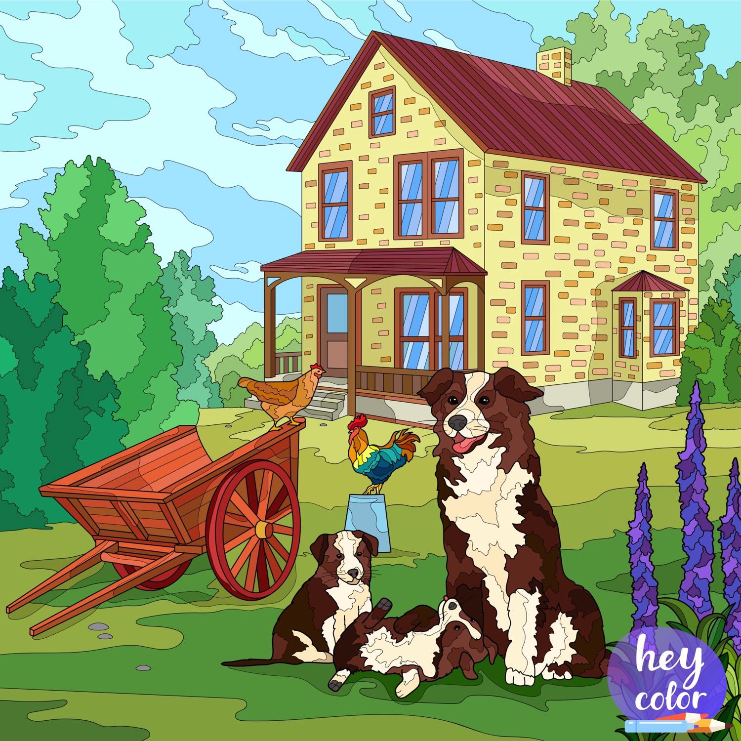 Jigsaw Puzzle | Furry & Feathered Friends | 256 pieces | Jigidi