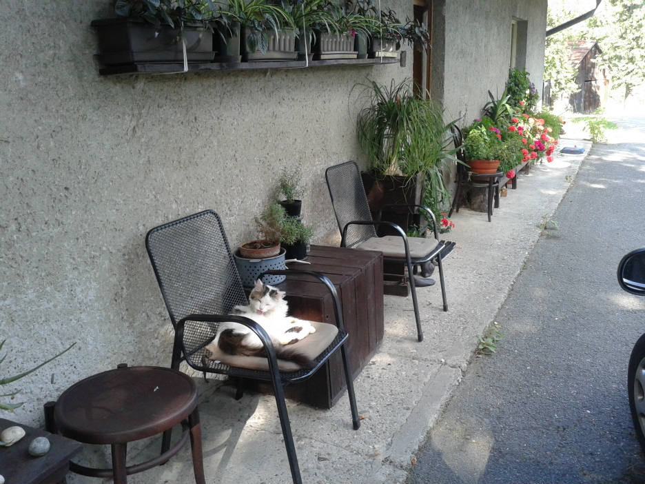 Solve Umyju se a jdu do hajan! jigsaw puzzle online with 20 pieces