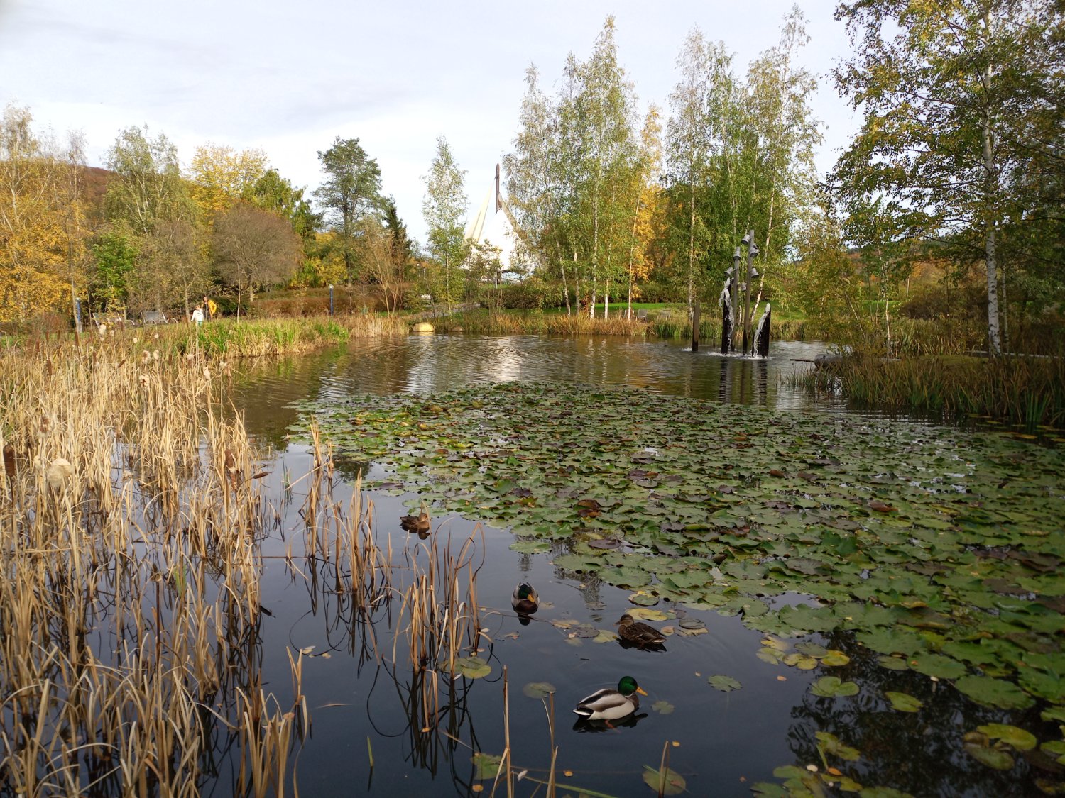 Solve Bad Schlema - Kurpark lake jigsaw puzzle online with 35 pieces