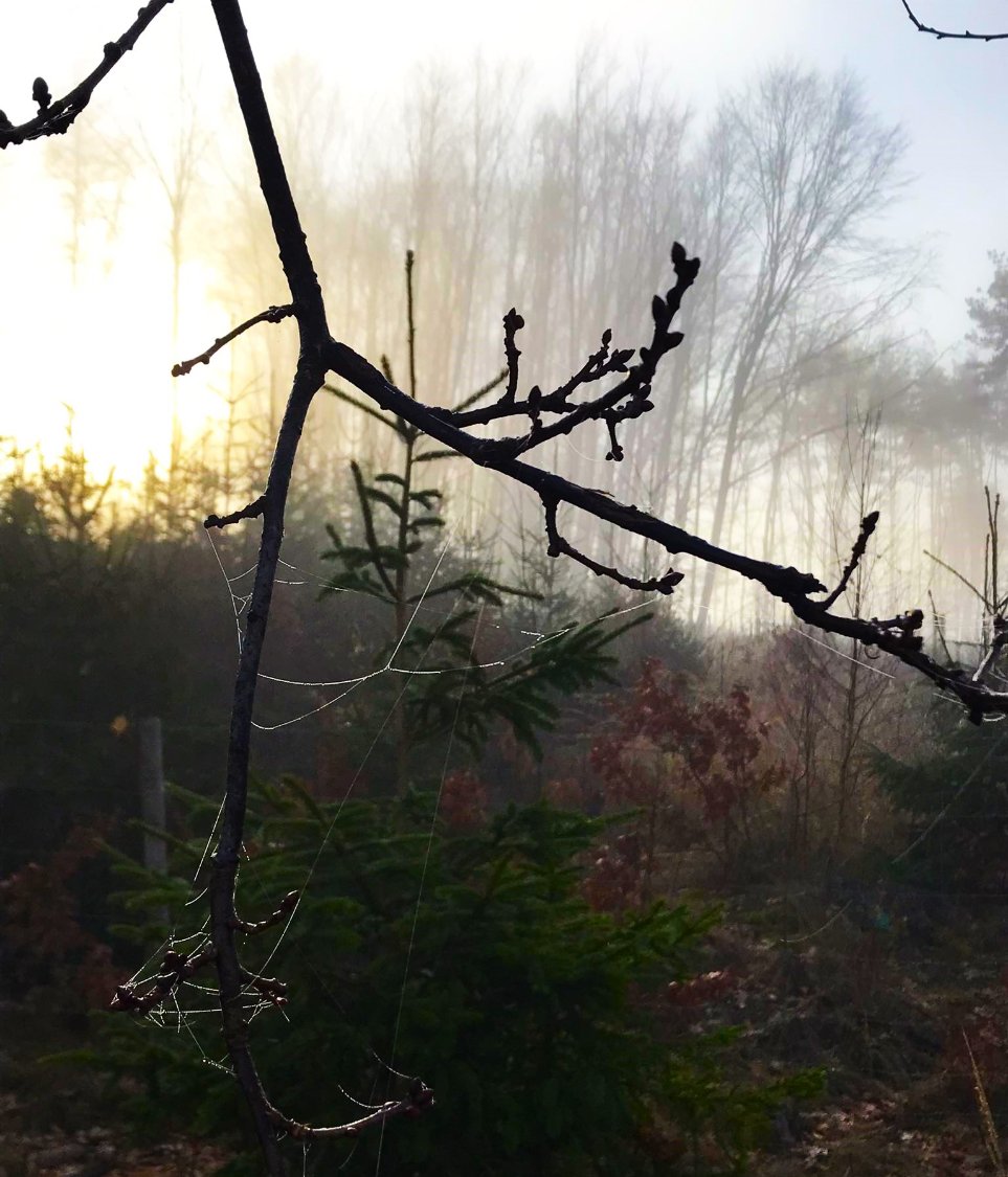 Solve Nature jigsaw puzzle online with 9 pieces