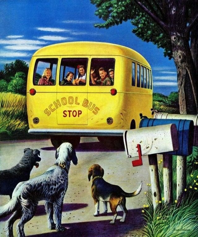 Solve "School Bus" jigsaw puzzle online with 80 pieces