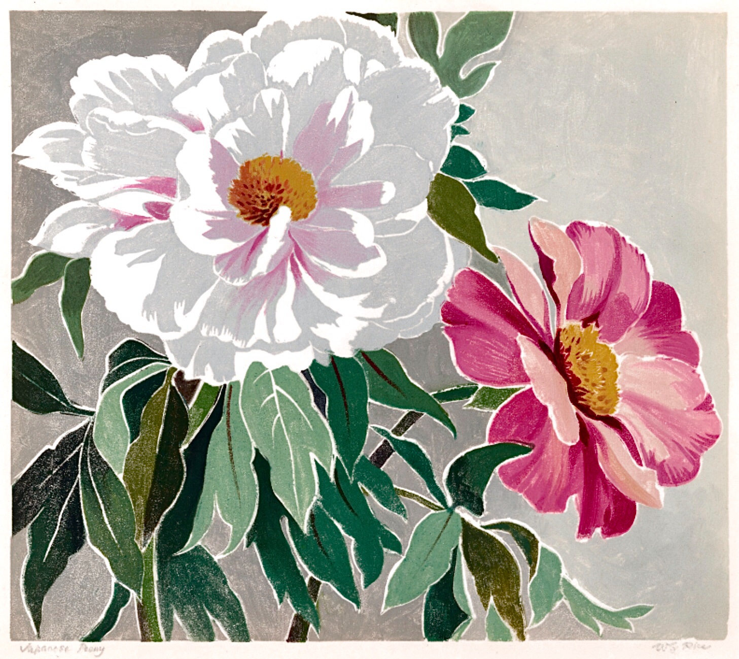 Solve Japanese Peony, 1930, William Seltzer Rice (1873-1963) jigsaw ...