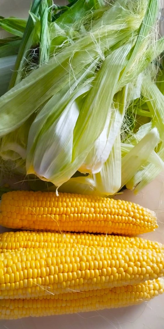 Solve Kukuřice - Corn jigsaw puzzle online with 10 pieces