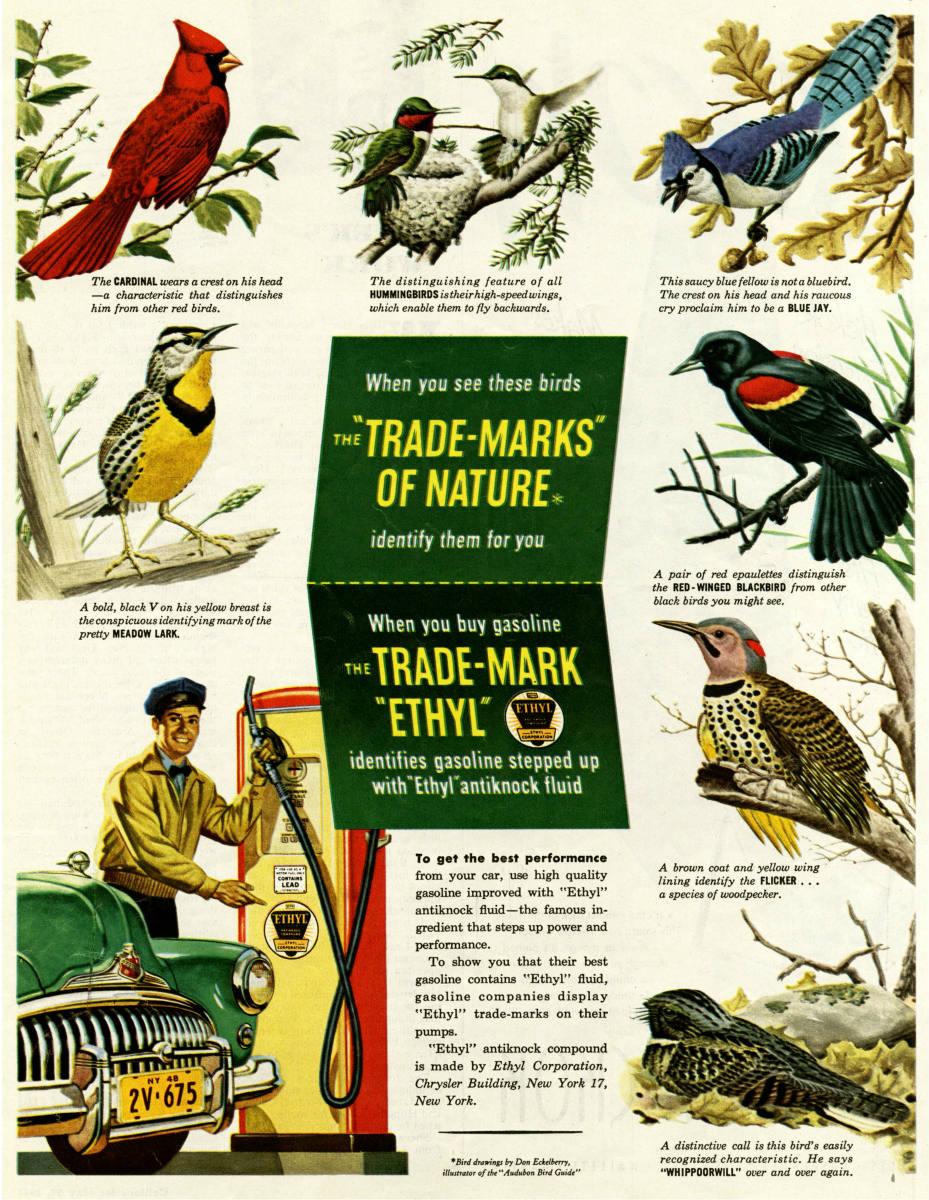 Solve Birds of a Feather Gas Up Together jigsaw puzzle online with 285 ...