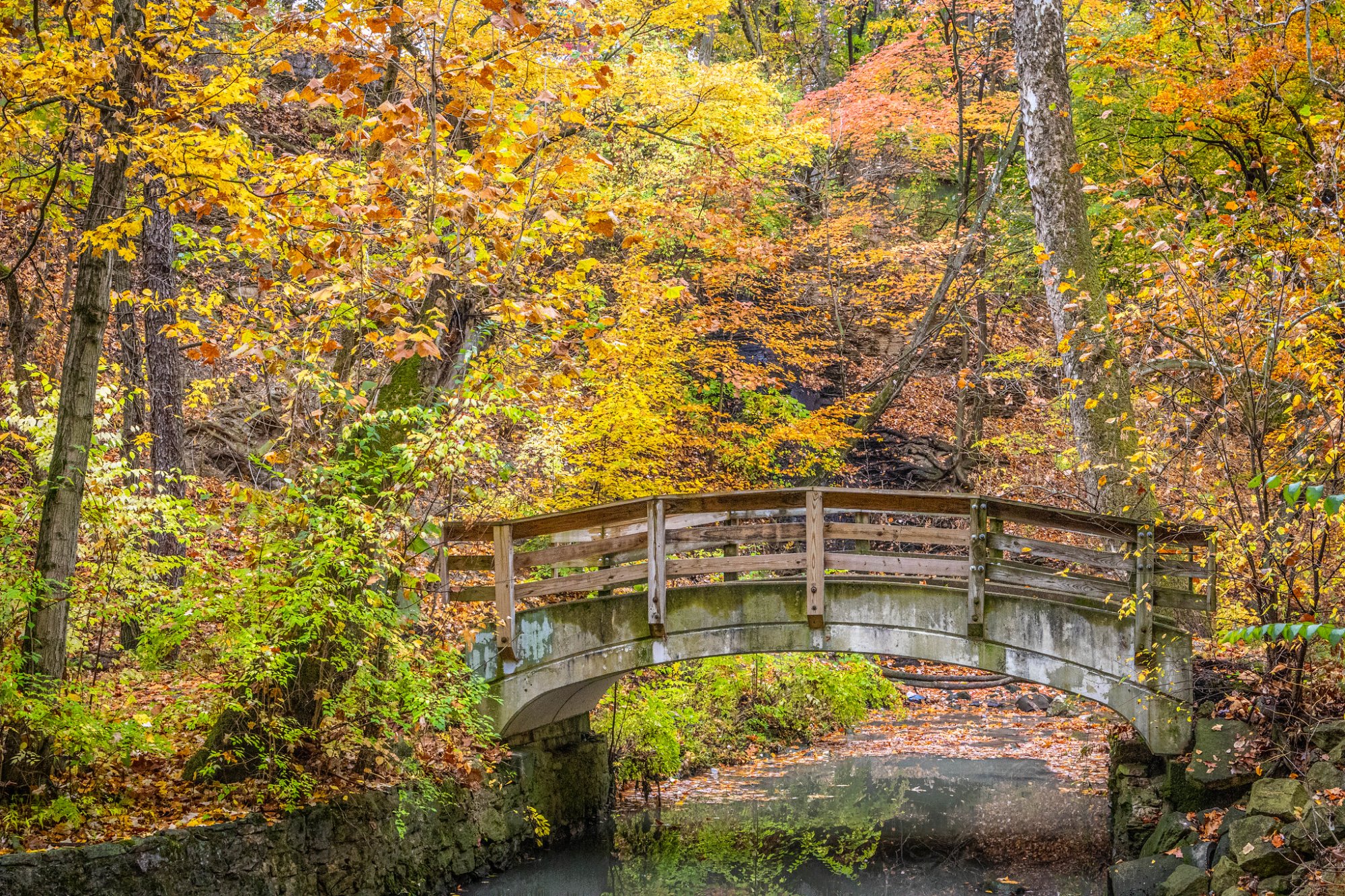 Solve Glen Echo Park Bridge jigsaw puzzle online with 117 pieces