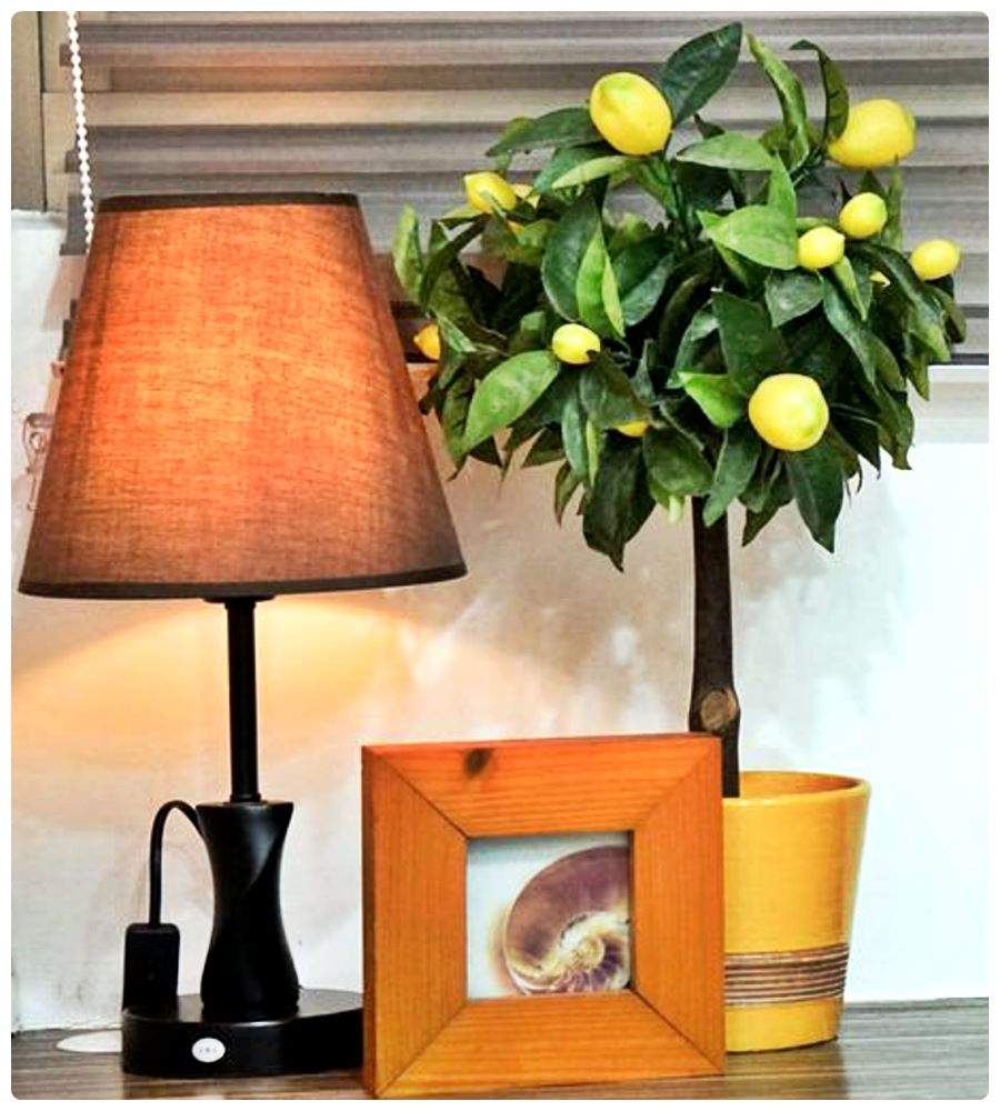 Jigsaw Puzzle | A Lemon Tree, a Lamp, and a Picture Frame | 195 pieces ...