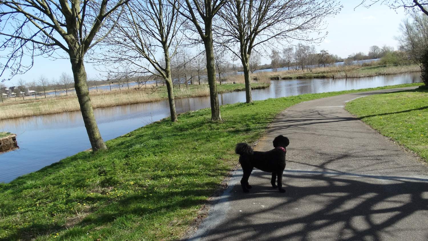 Solve Now first we have to cross that canal. ☺ jigsaw puzzle online ...