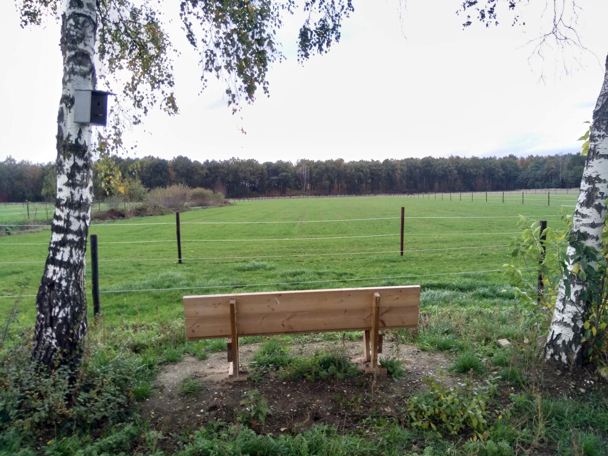 Solve Rust jigsaw puzzle online with 192 pieces