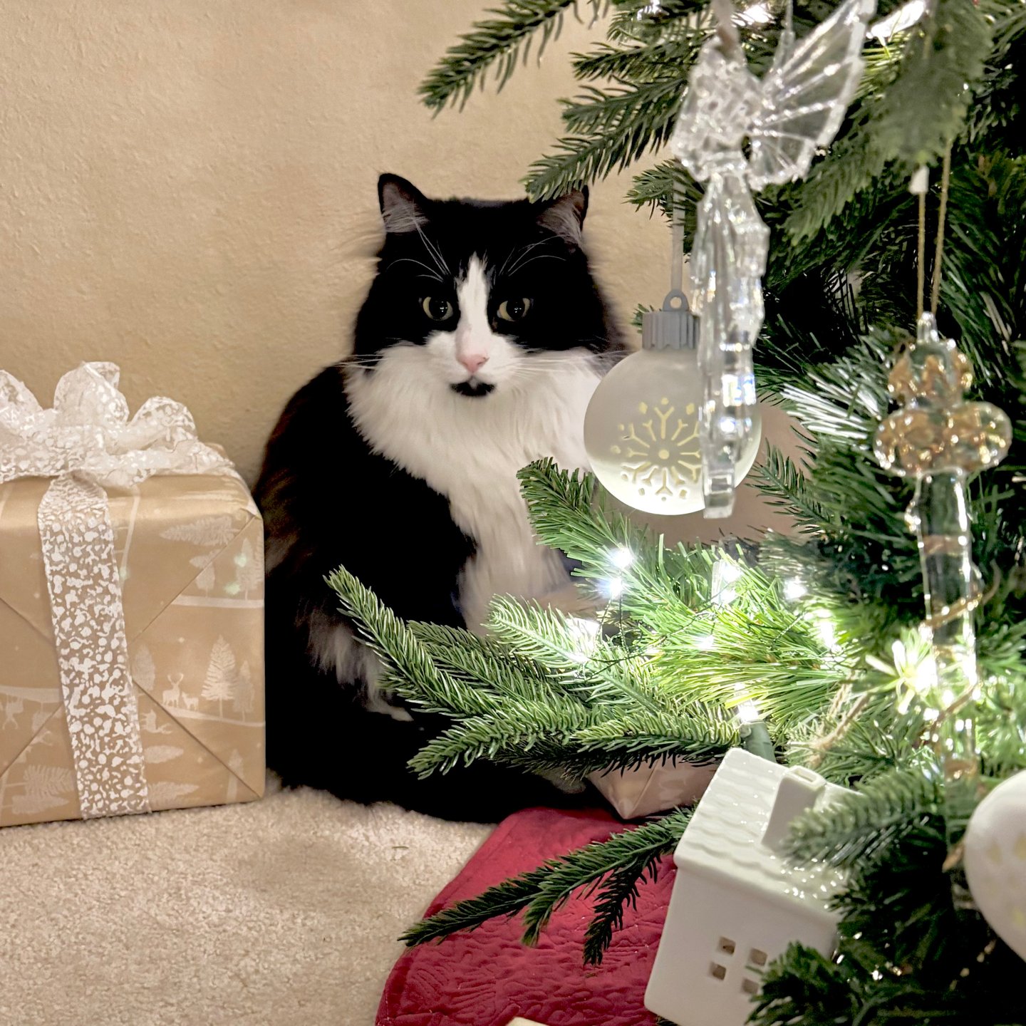 Solve Izzy Ispy for Santa coming soon jigsaw puzzle online with 144 pieces