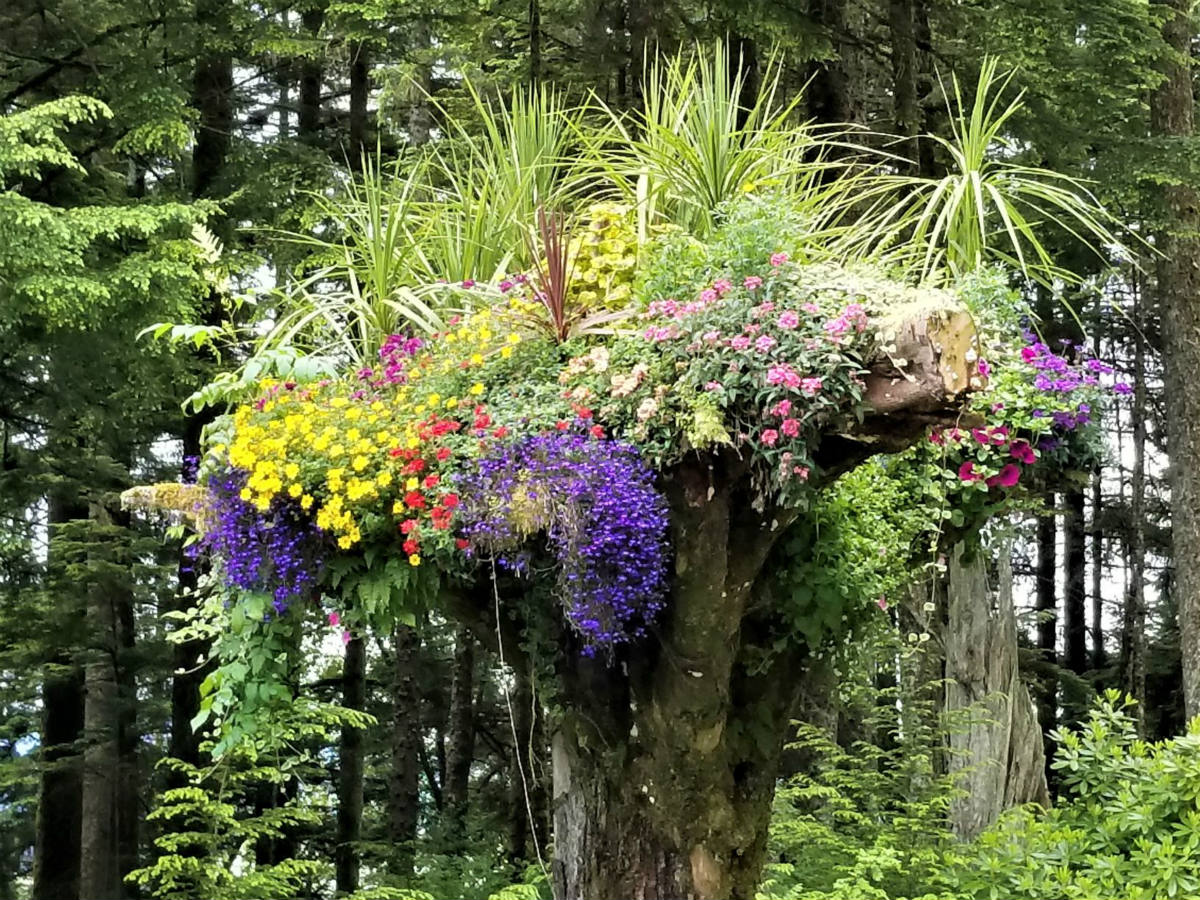 Solve "Upside down" tree planter jigsaw puzzle online with 108 pieces