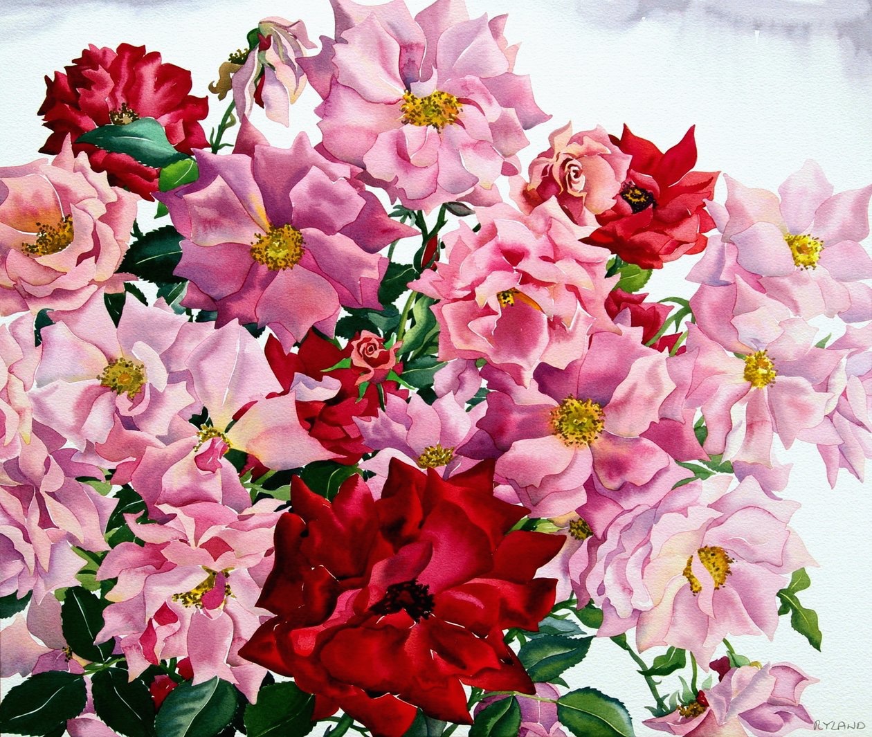 Solve Christopher Ryland - Red and Pink Roses jigsaw puzzle online with ...