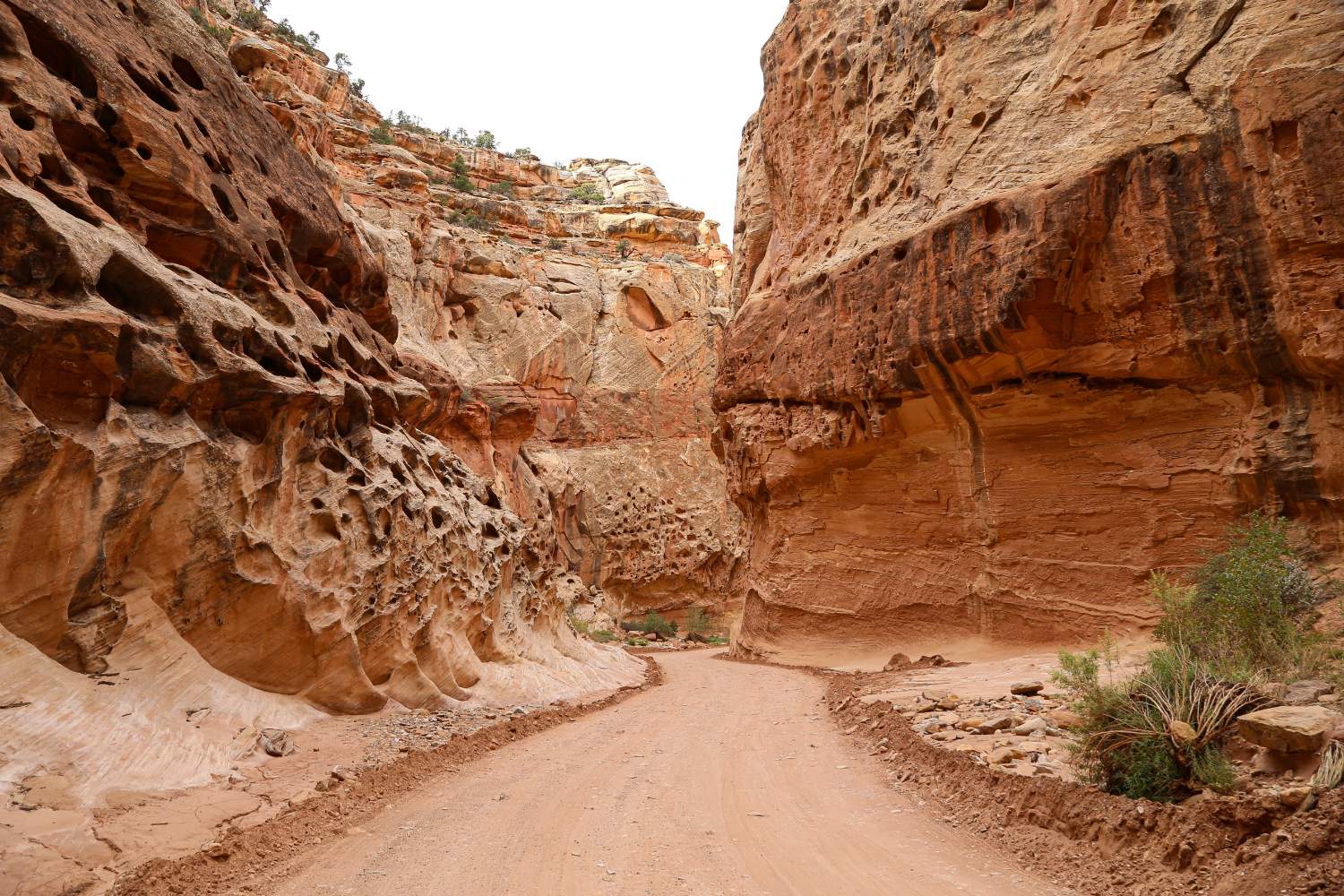 Solve CAPITOL REEF NATIONAL PARK jigsaw puzzle online with 77 pieces