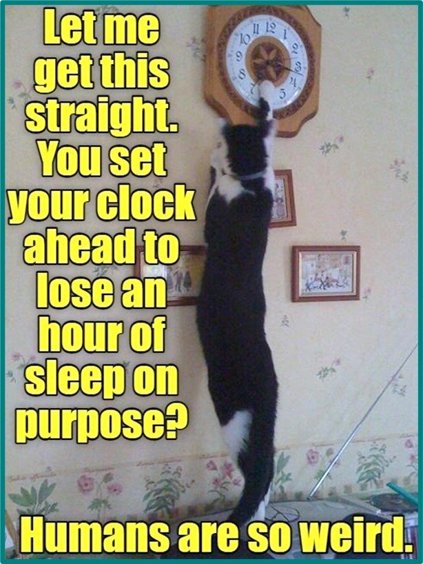 Solve And It's Great For Messing Up Your Internal Clock Too! jigsaw ...