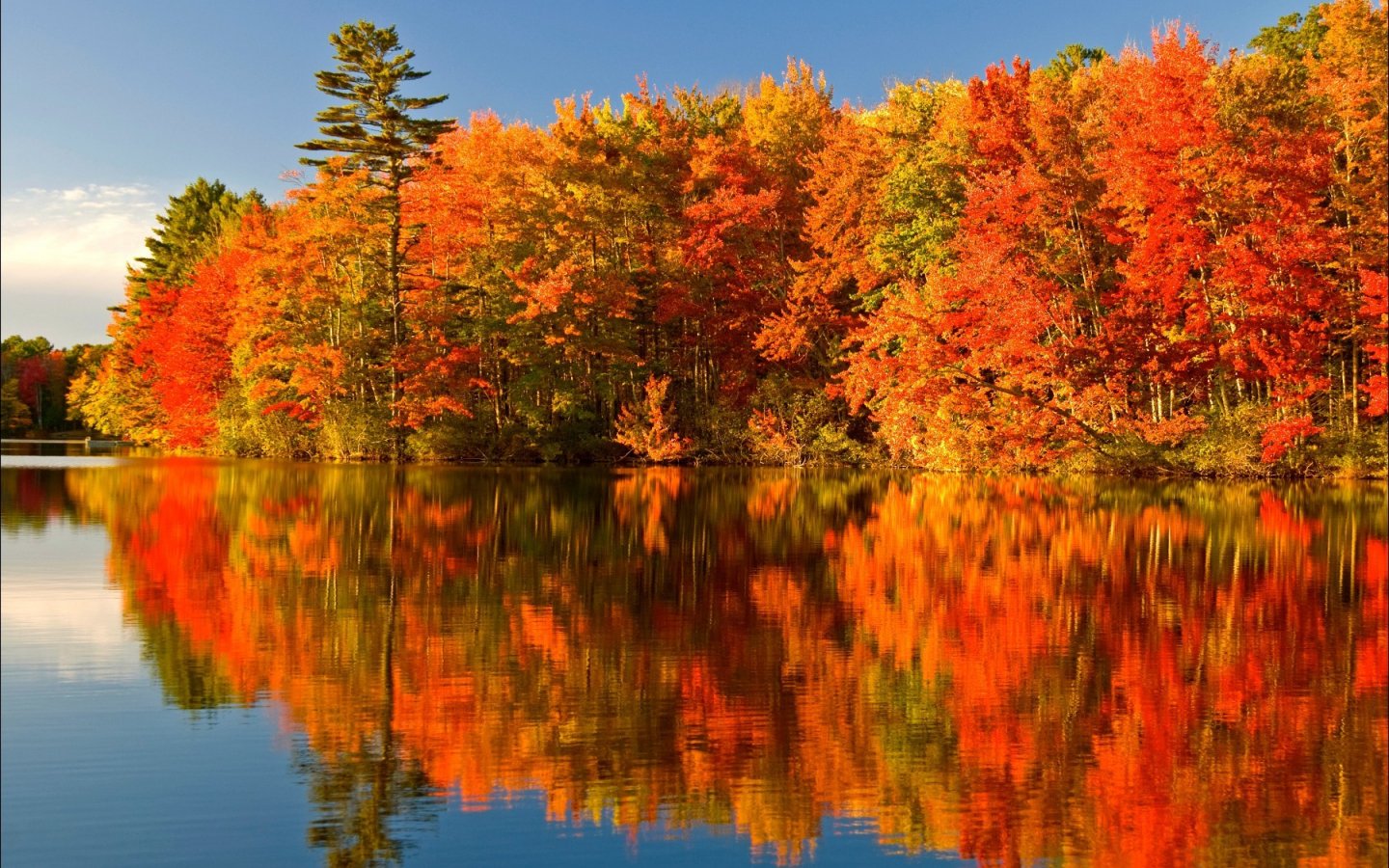 Solve FALL REFLECTIONS 🍁🍂 jigsaw puzzle online with 60 pieces