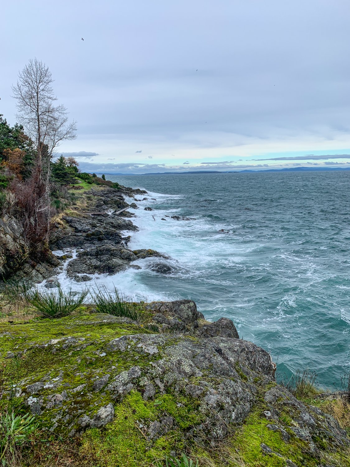 Solve Big waves on a stormy day at Ten Mile Point in Victoria BC jigsaw ...