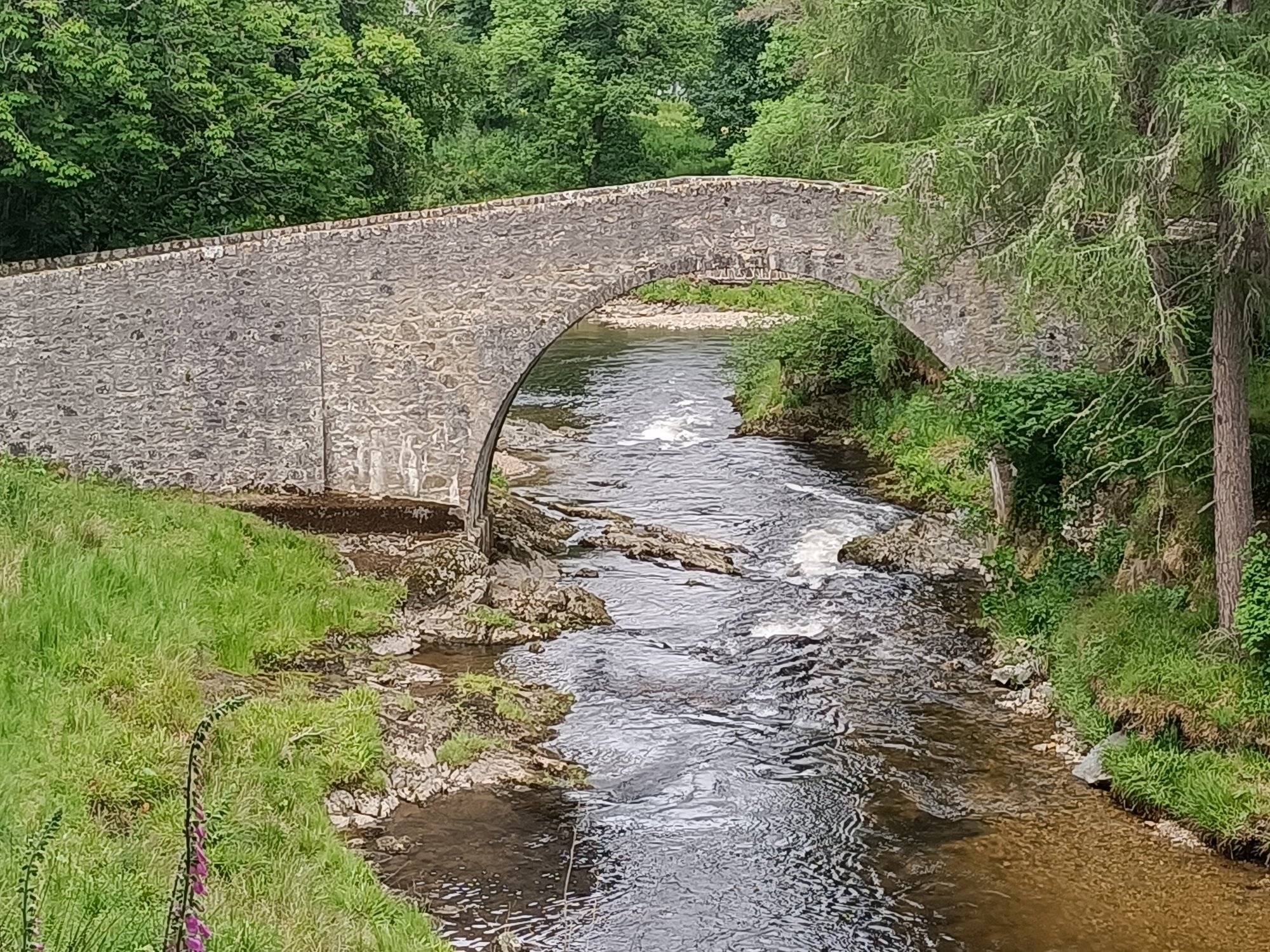 Solve Bridge Scotland jigsaw puzzle online with 300 pieces