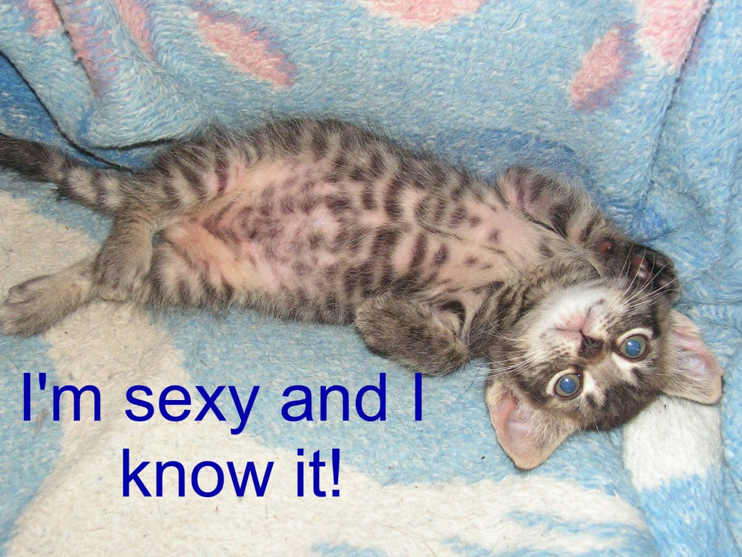 Solve Smiley 2019 jigsaw puzzle online with 30 pieces