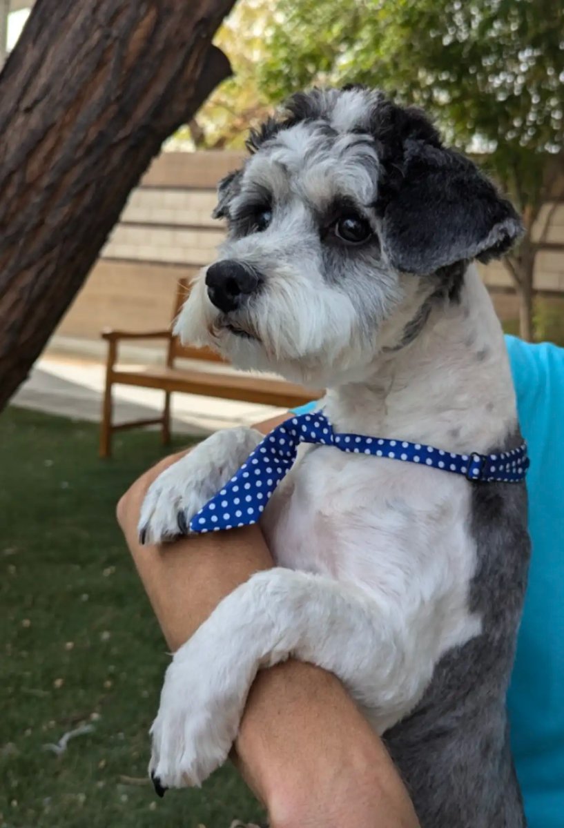 Solve You seen the mess heres the beauty jigsaw puzzle online with 24 ...