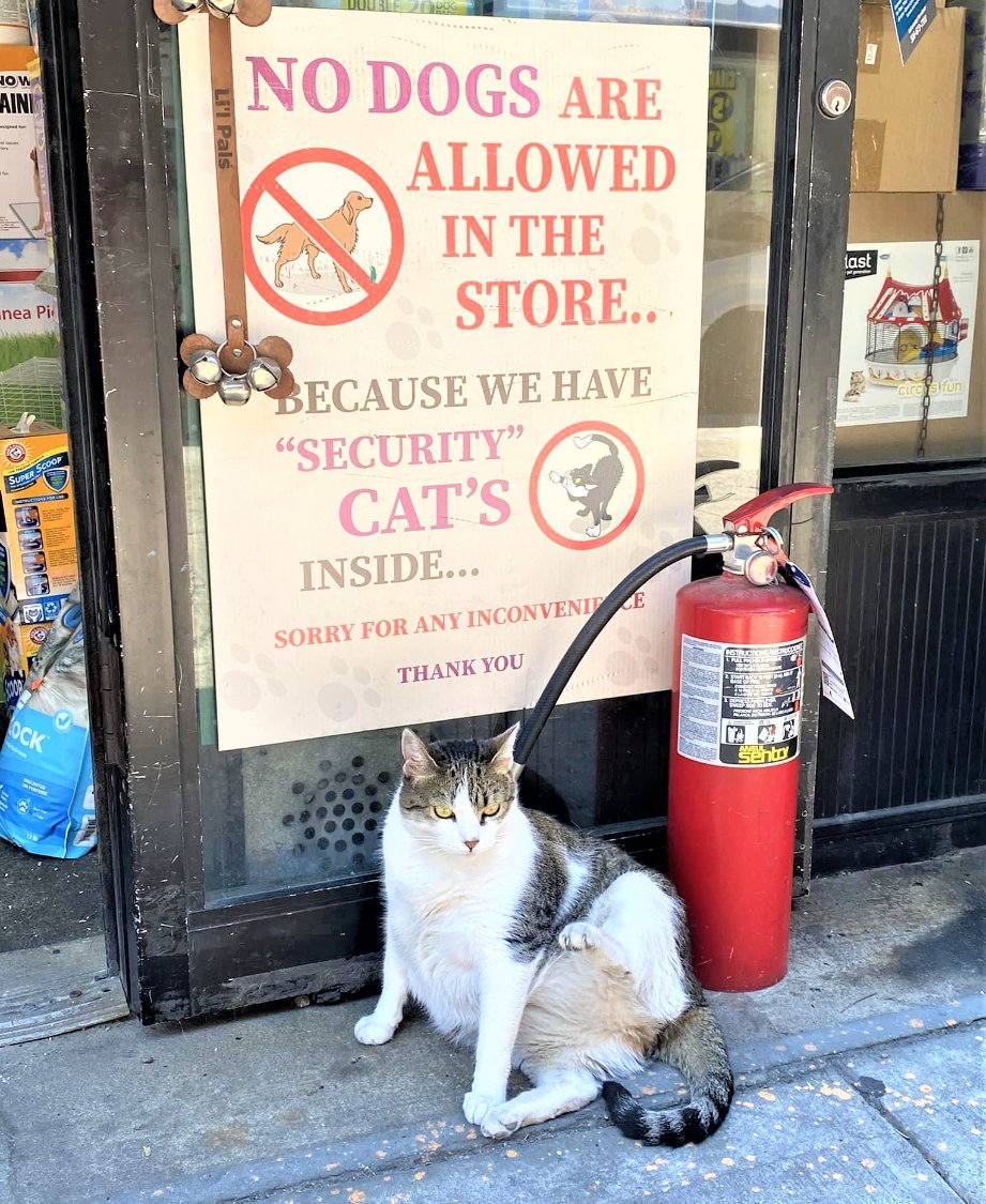 Solve You won't get a second warning. jigsaw puzzle online with 12 pieces