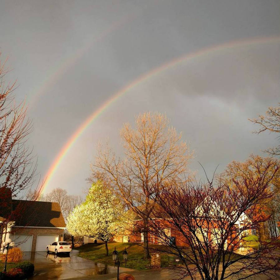 Jigsaw Puzzle | 81 pieces | Double Rainbow | Jigidi