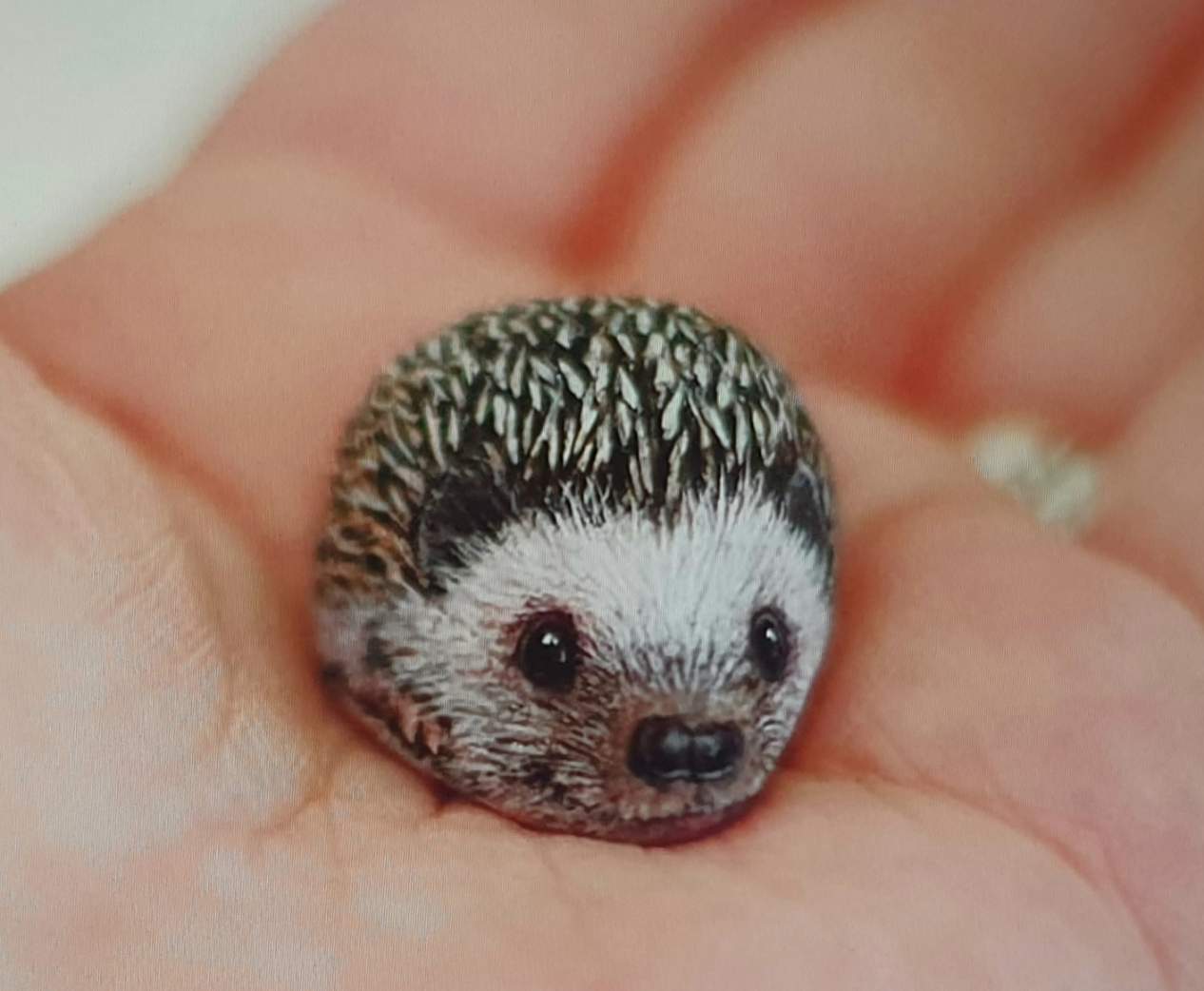 Solve HEDGEHOG jigsaw puzzle online with 30 pieces