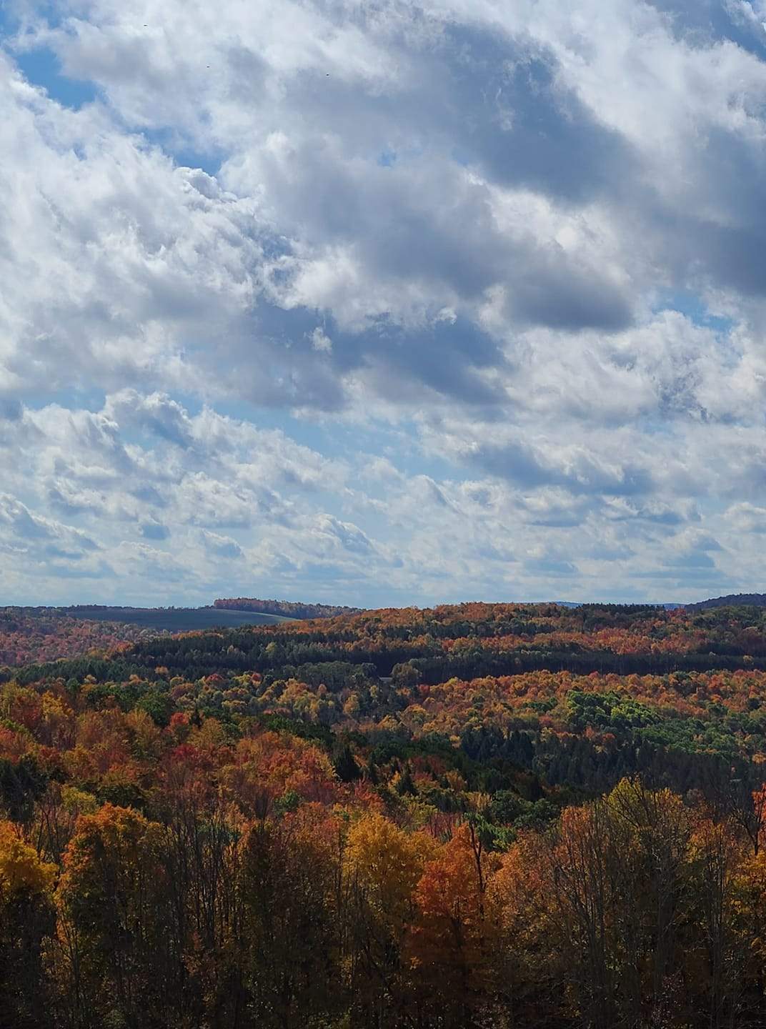 Solve Finger Lakes, NY jigsaw puzzle online with 154 pieces