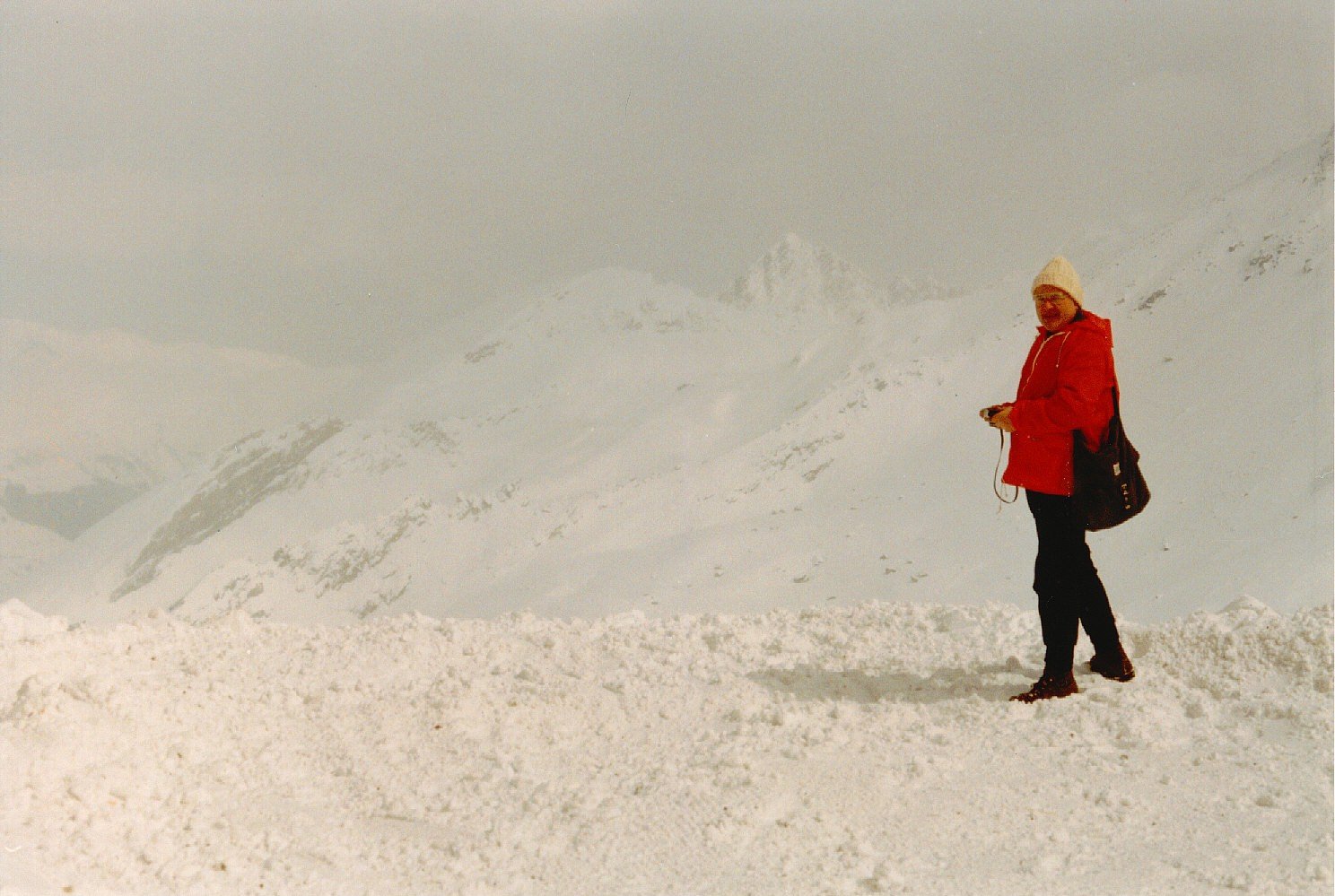 Solve austria jigsaw puzzle online with 40 pieces