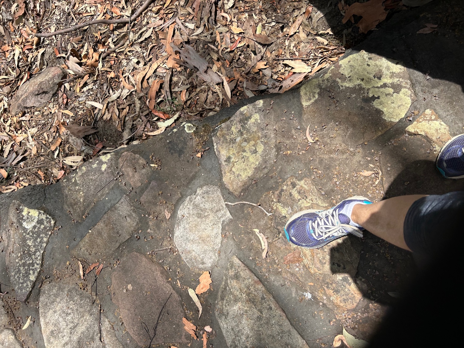 Solve Foot on rock 👟 jigsaw puzzle online with 12 pieces