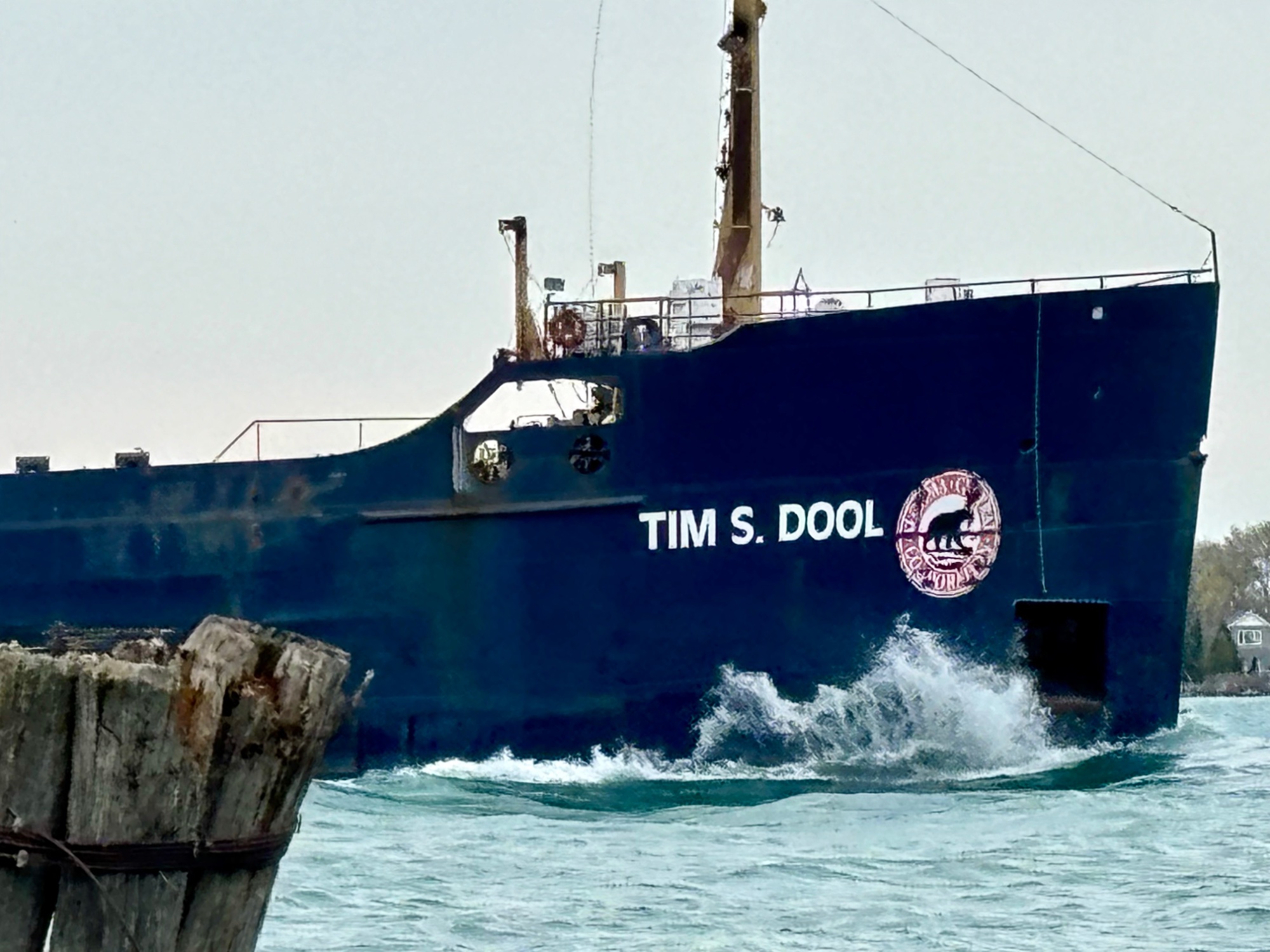 Solve Tim S Dool 4-23-24 jigsaw puzzle online with 88 pieces