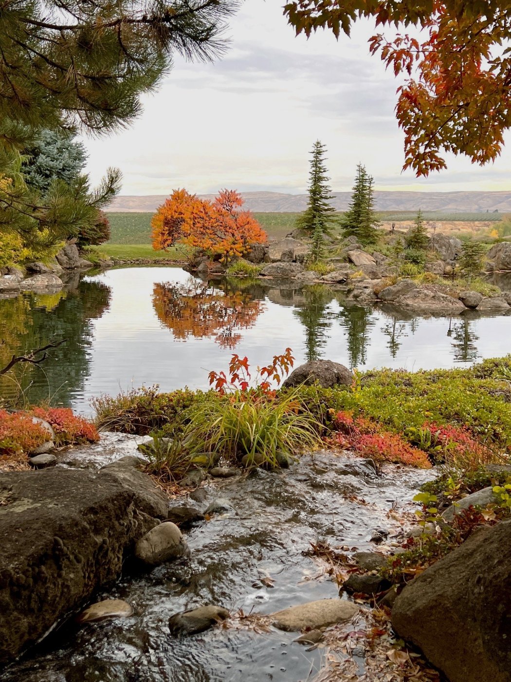 Solve Autumn reflections in the pond jigsaw puzzle online with 35 pieces