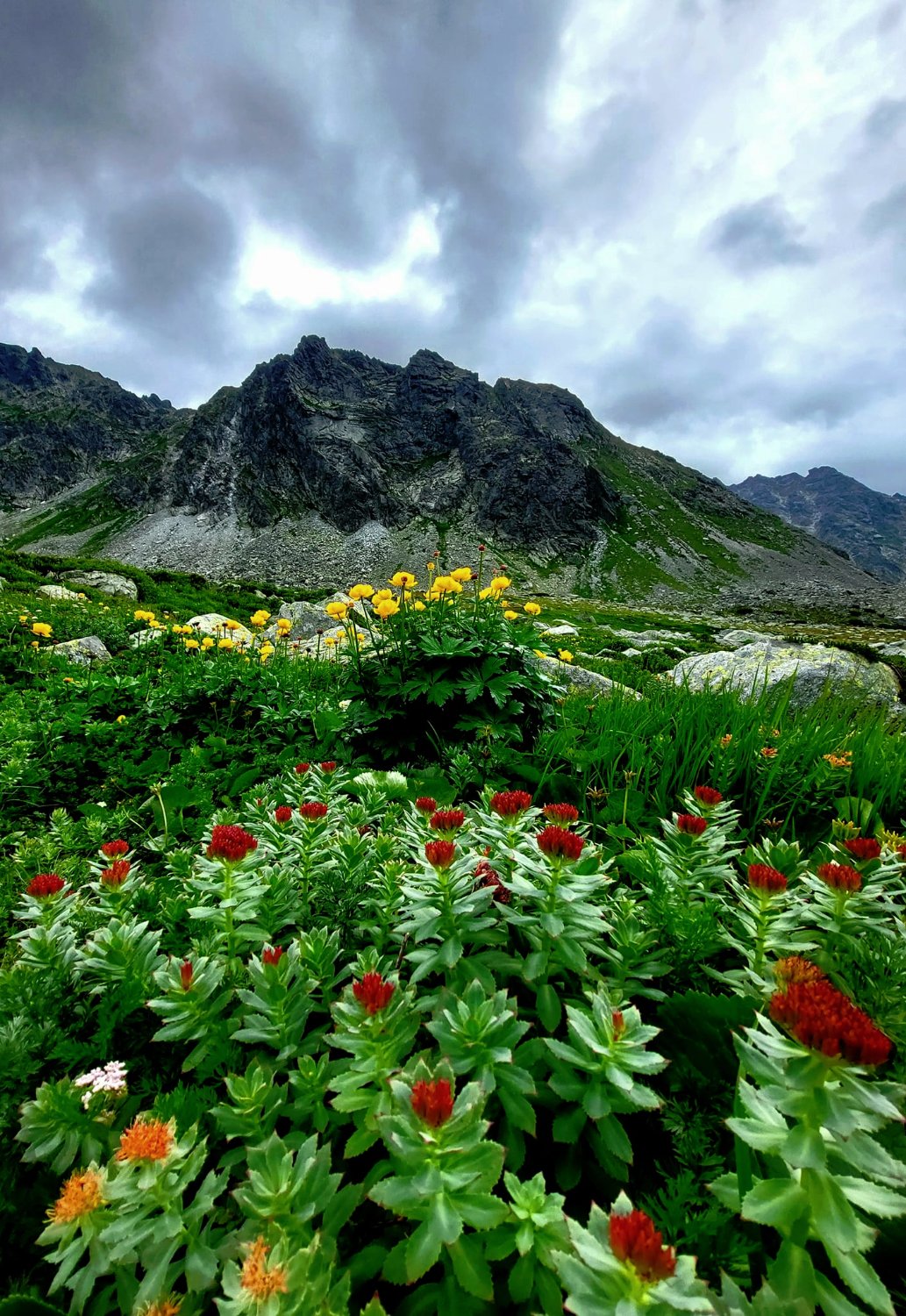 Solve Příroda... jigsaw puzzle online with 54 pieces