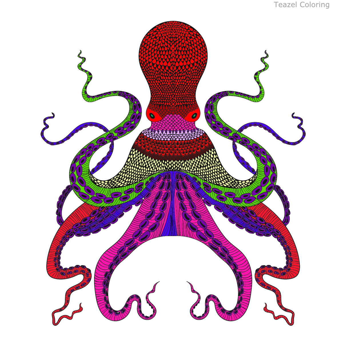 Solve Octopus jigsaw puzzle online with 169 pieces