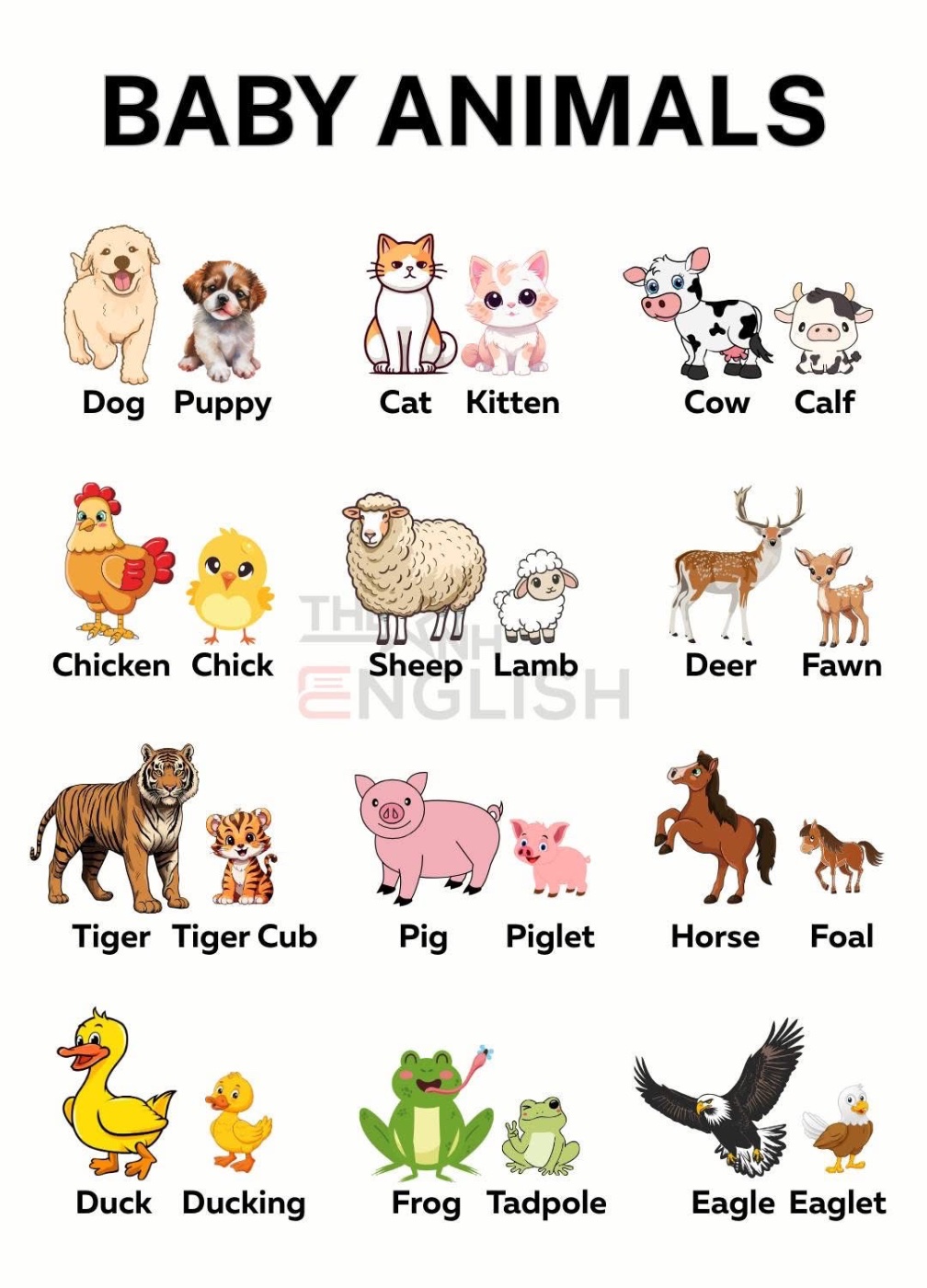 Solve Baby animals jigsaw puzzle online with 35 pieces