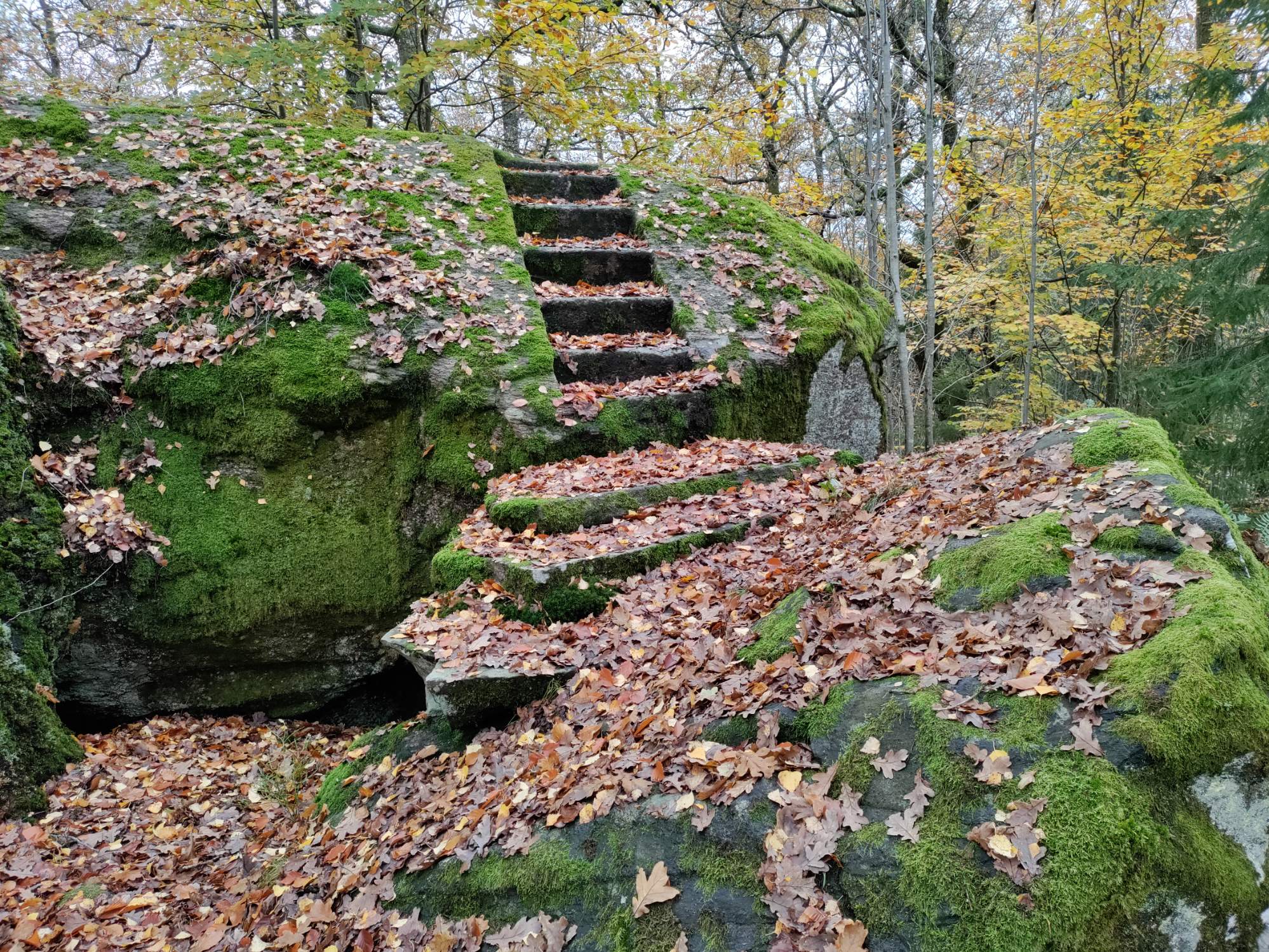 Solve Puzzel vid Maderna #3a jigsaw puzzle online with 252 pieces