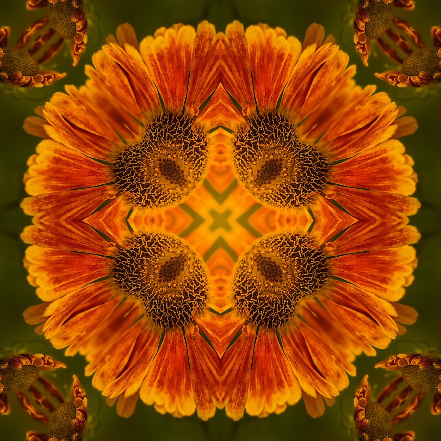 Solve #2 large jigsaw puzzle online with 144 pieces