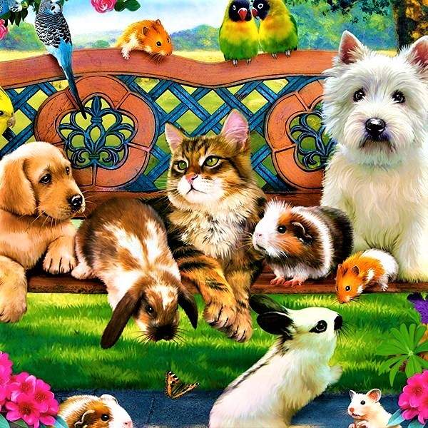 Solve pets jigsaw puzzle online with 64 pieces