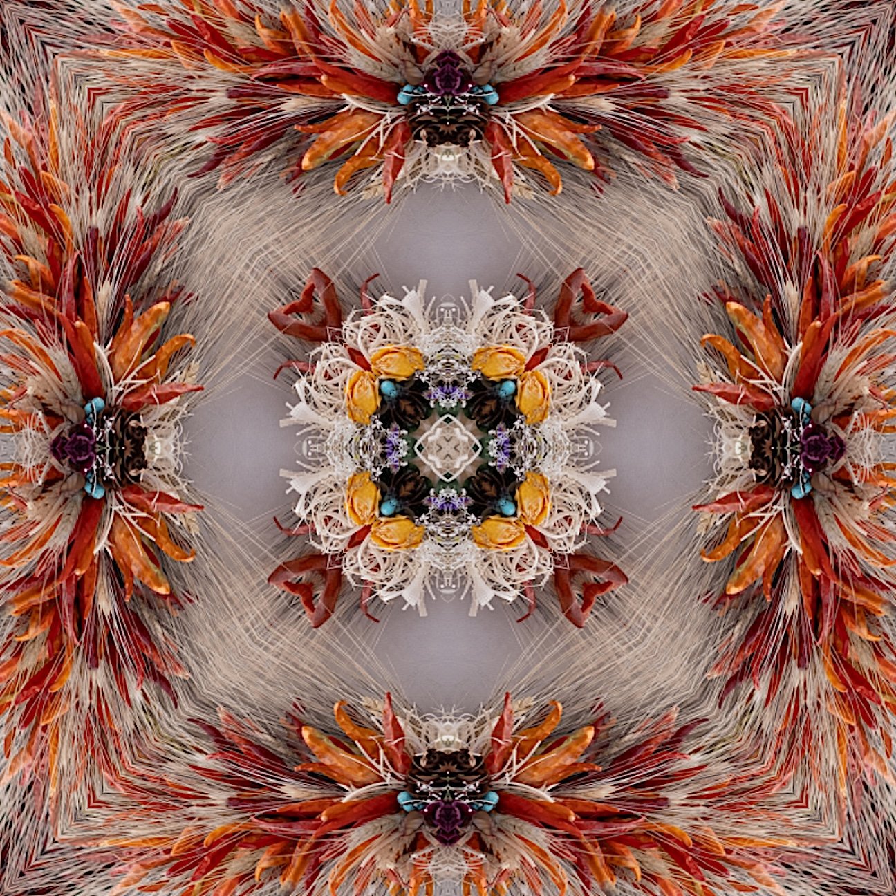 Solve #1 small jigsaw puzzle online with 64 pieces