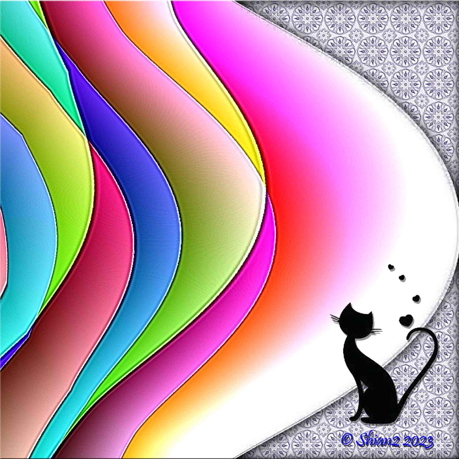Solve Kitty jigsaw puzzle online with 144 pieces