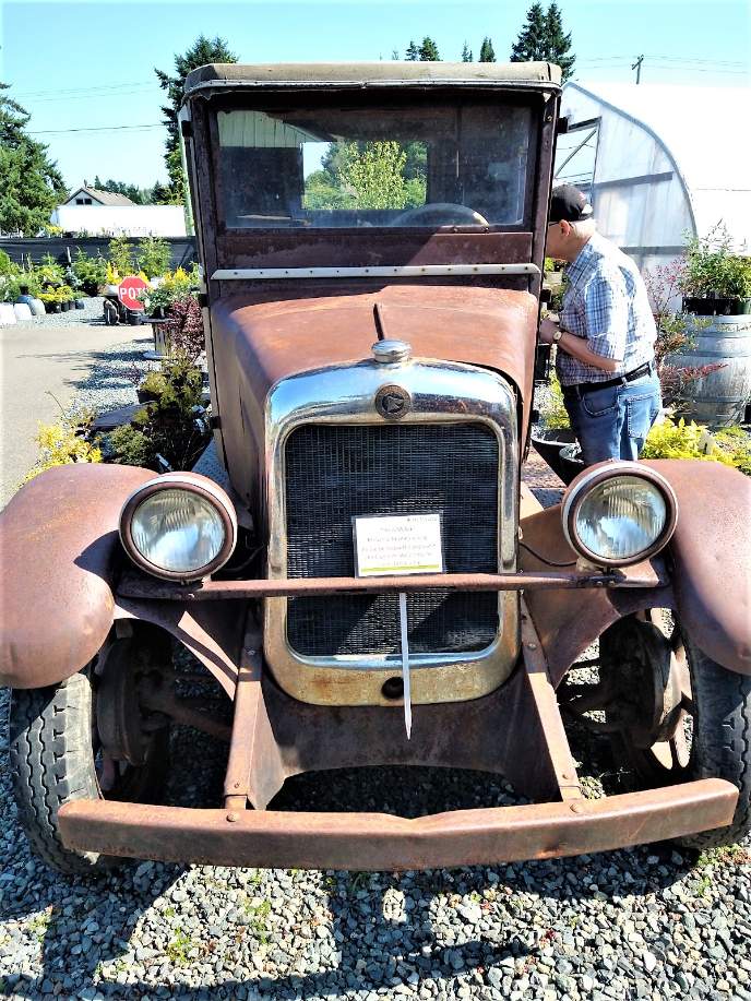 Solve VISIT TO LANDSCAPERS TO REPLACE A SUCCULENT - 4 OF 4 jigsaw puzzle online with 12 pieces