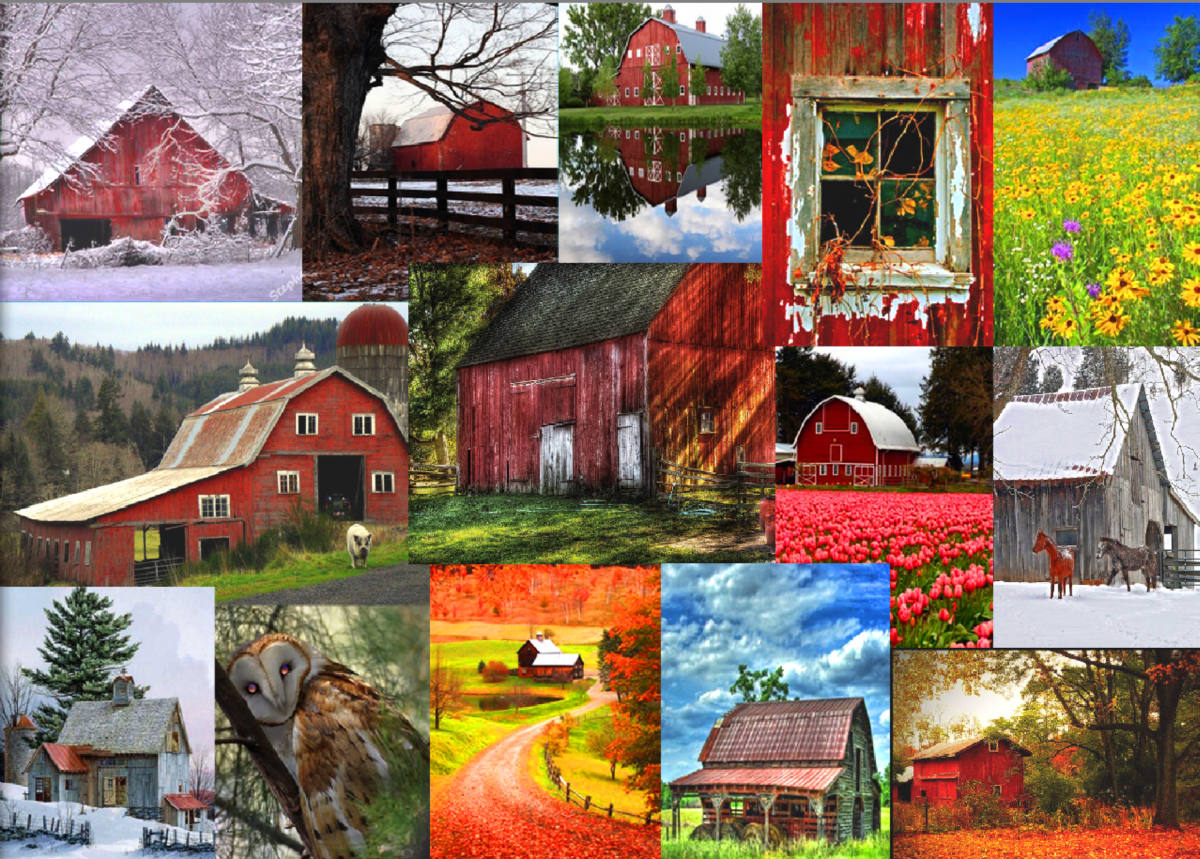 Solve BARNS jigsaw puzzle online with 48 pieces