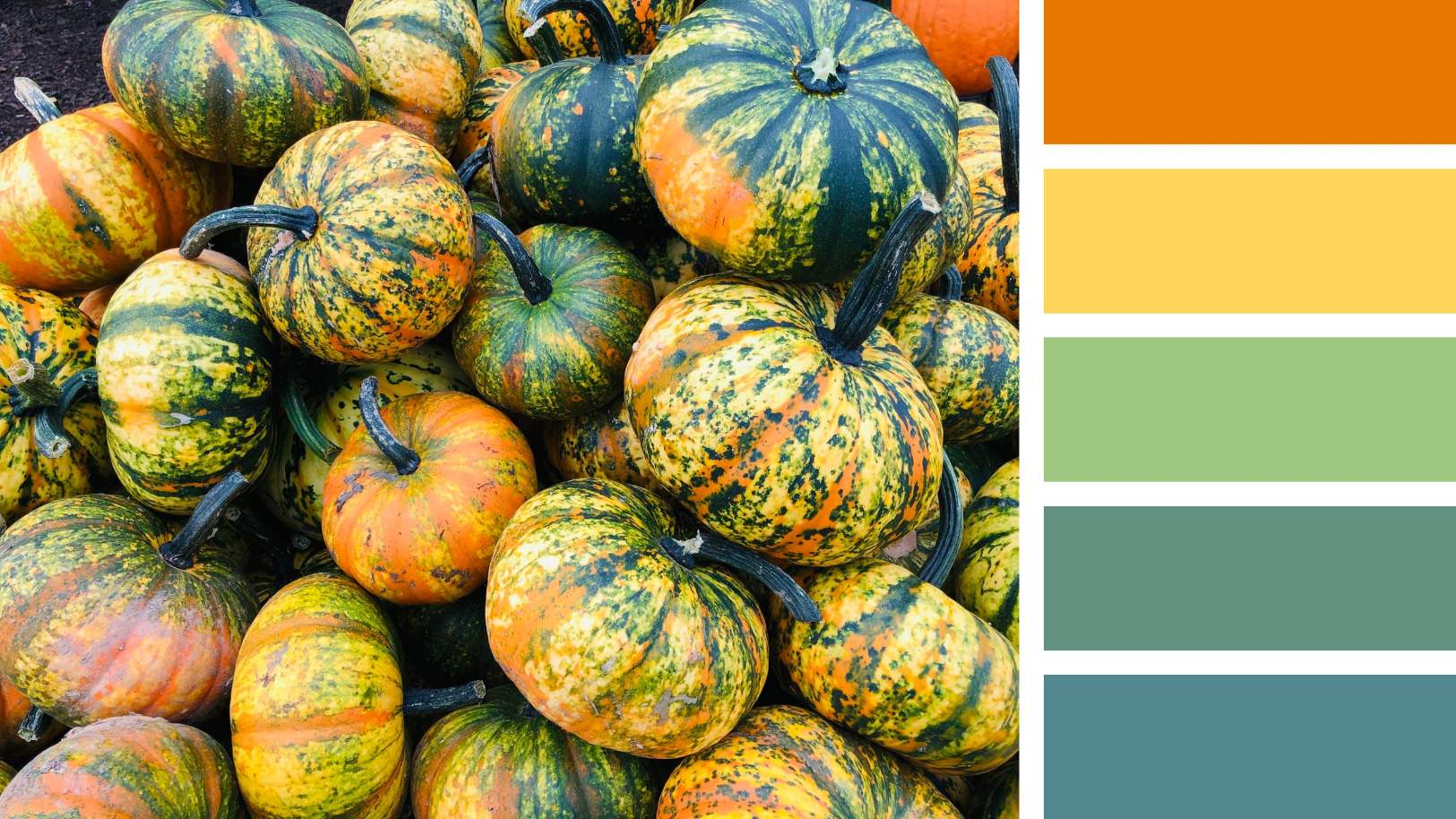 Solve Pile of Pumpkins (Small) jigsaw puzzle online with 91 pieces