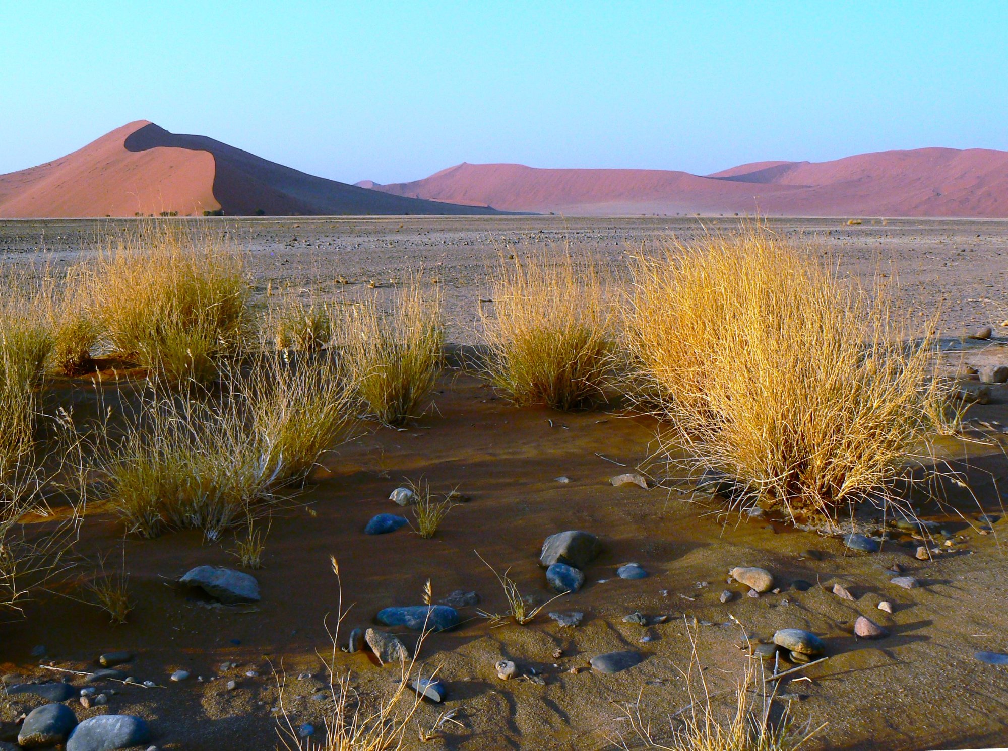Solve Sand dunes in the desert at Sossusvlei, Namibia jigsaw puzzle ...