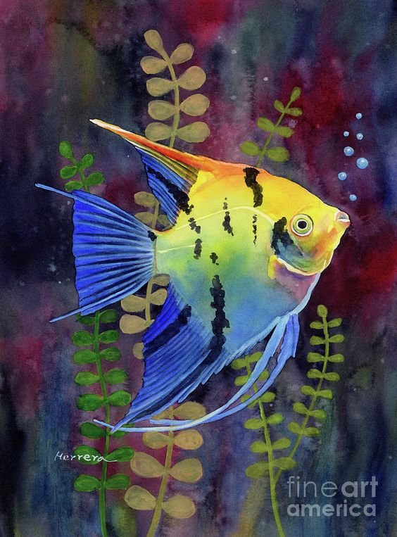 Solve Freshwater Angelfish jigsaw puzzle online with 88 pieces