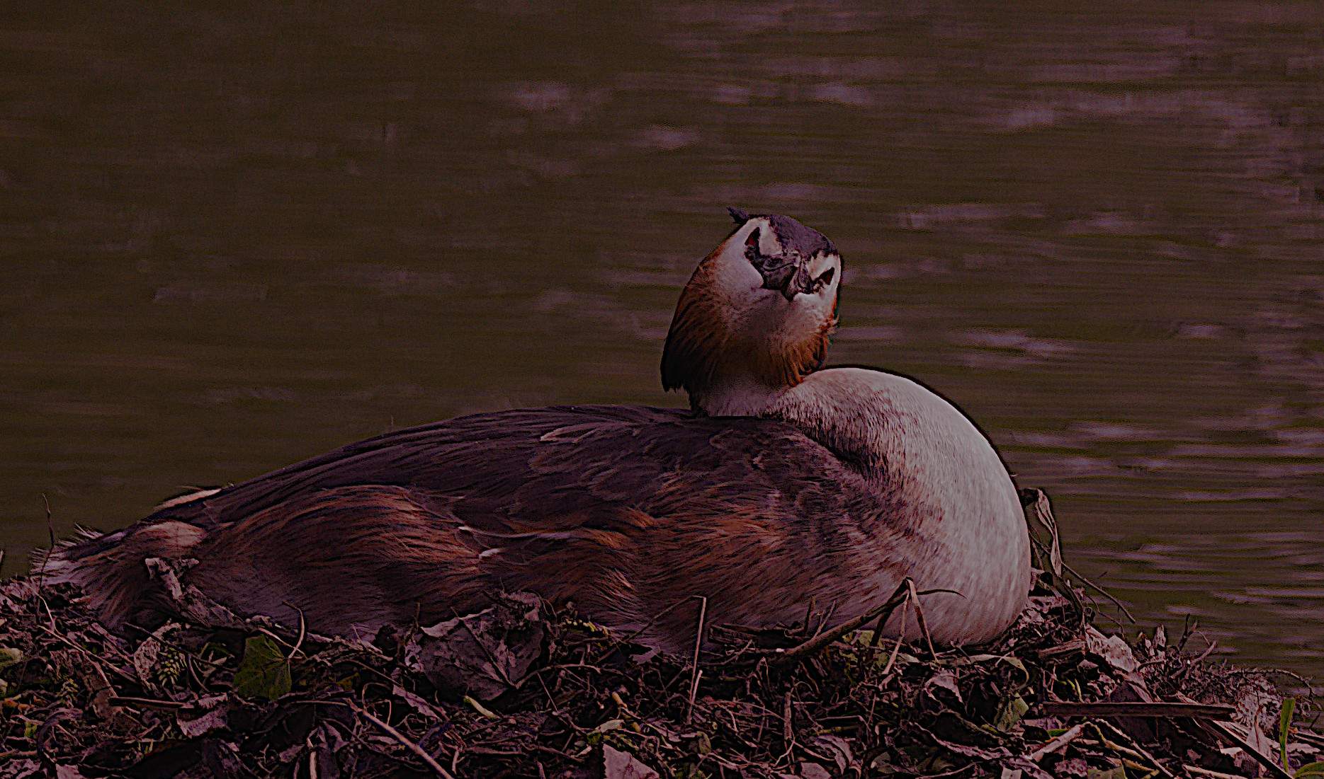 Solve 'oo yer lookin' 'at jigsaw puzzle online with 198 pieces