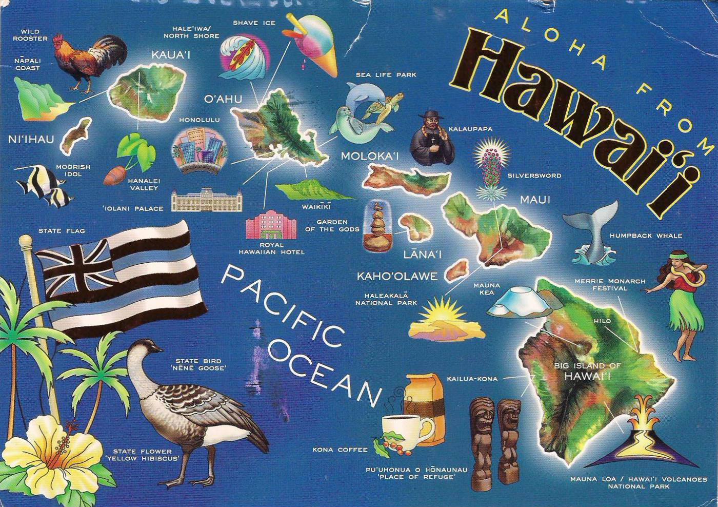 Solve Aloha from Hawaii jigsaw puzzle online with 280 pieces