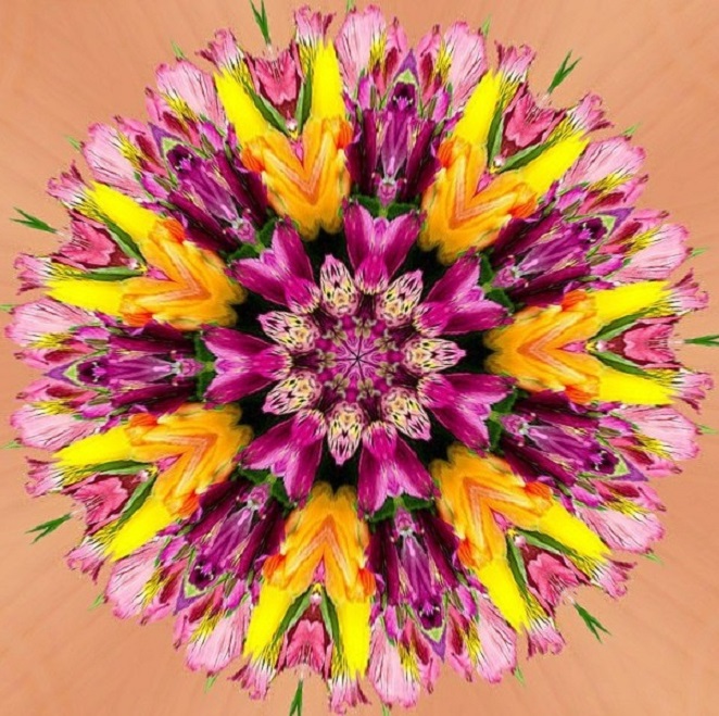 Jigsaw Puzzle | 25 pieces | Theme: The Colors Of Fall | Jigidi