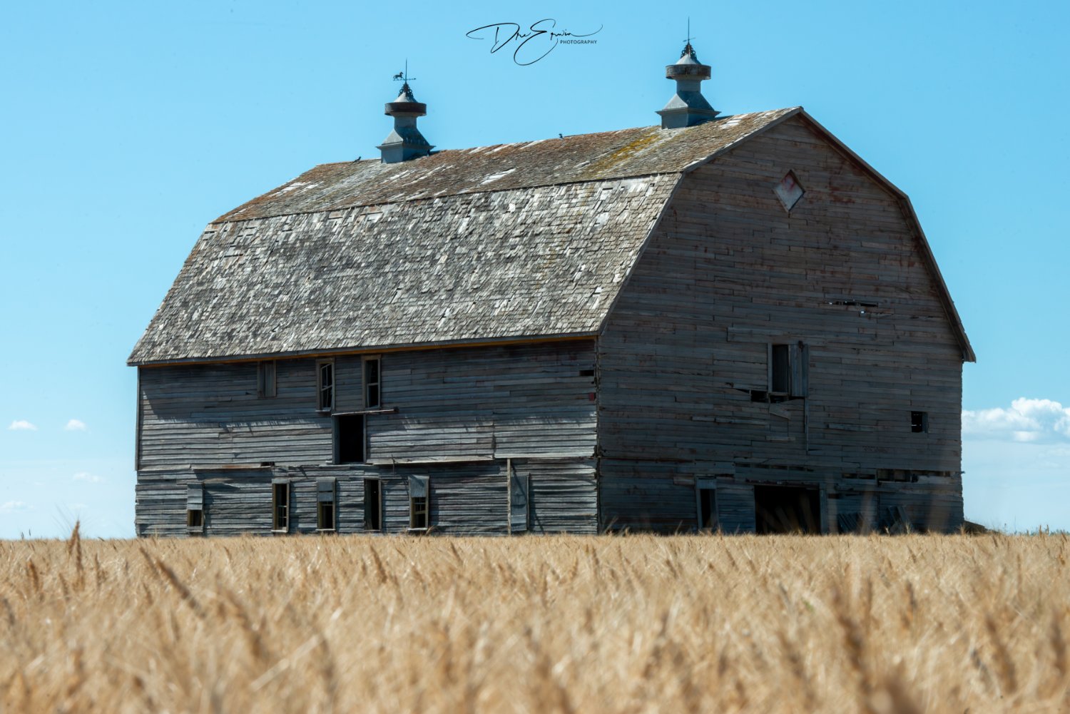 Solve Rustic Relic: 1800s Barn Amidst Saskatchewan's Summer Field jigsaw puzzle online with 12 ...