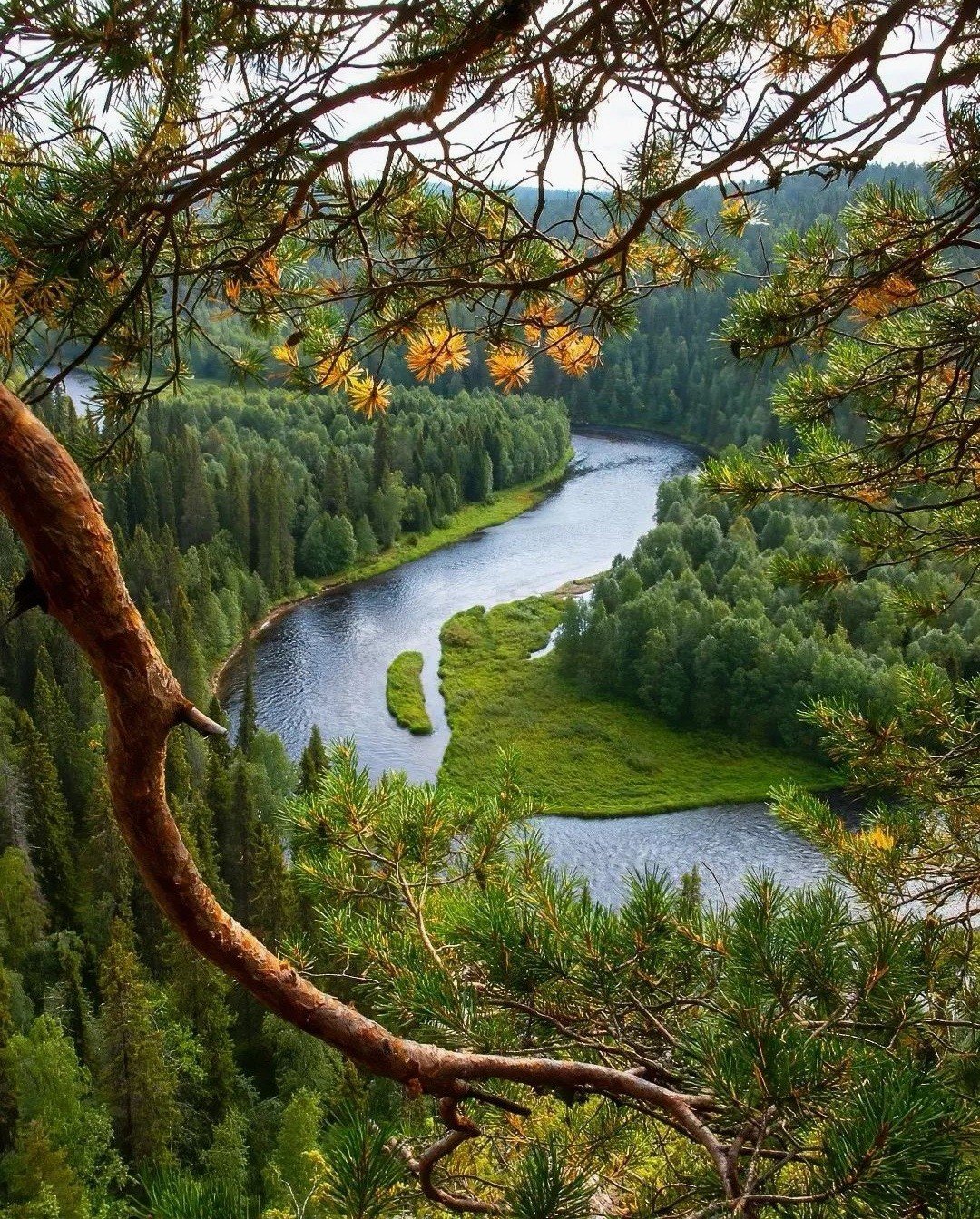 Solve Oulanka National Park Finland jigsaw puzzle online with 42 pieces